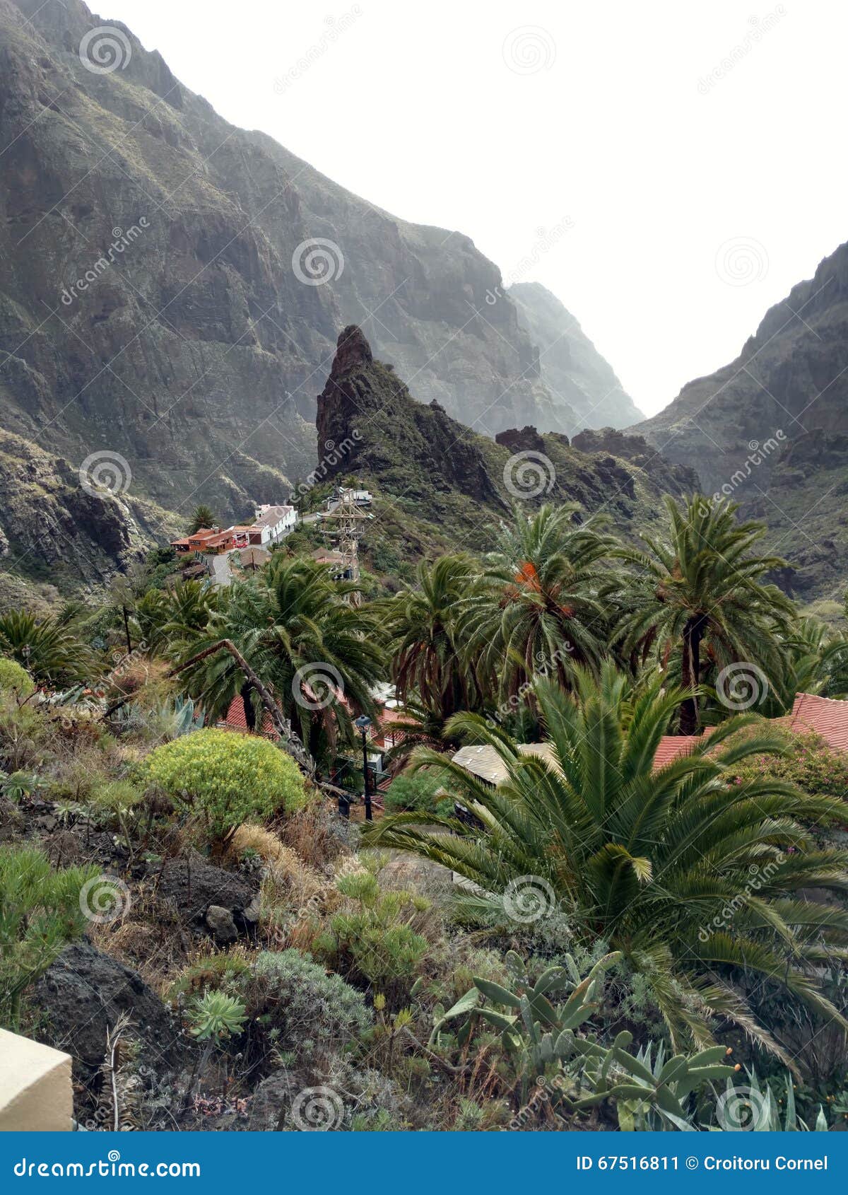 Masca stock image. Image of green, island, village, spring - 67516811