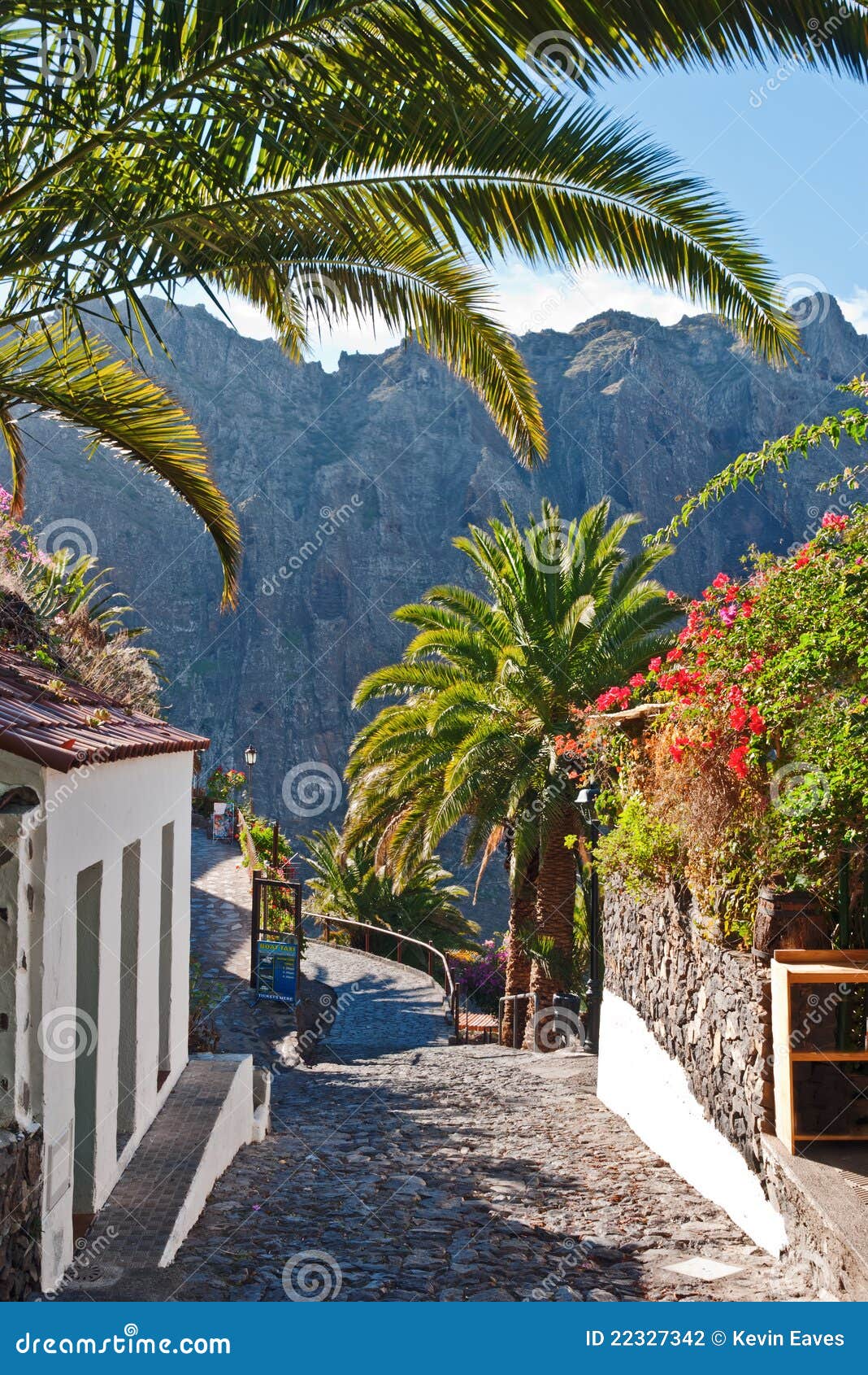Masca village, Tenerife stock photo. Image of tourist - 22327342