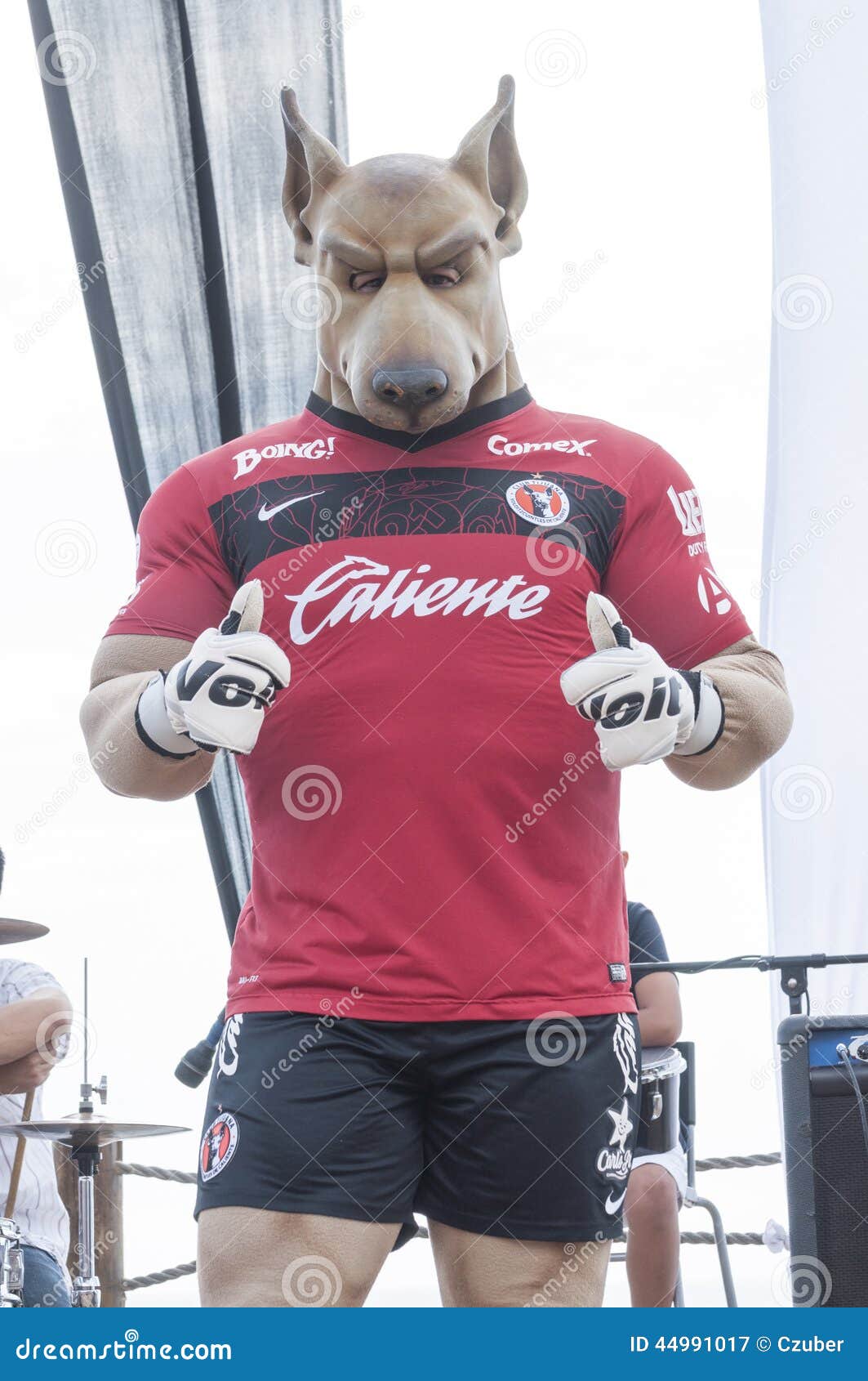 Mascota de Tijuana fotografía editorial. Imagen de camisa - 44991017