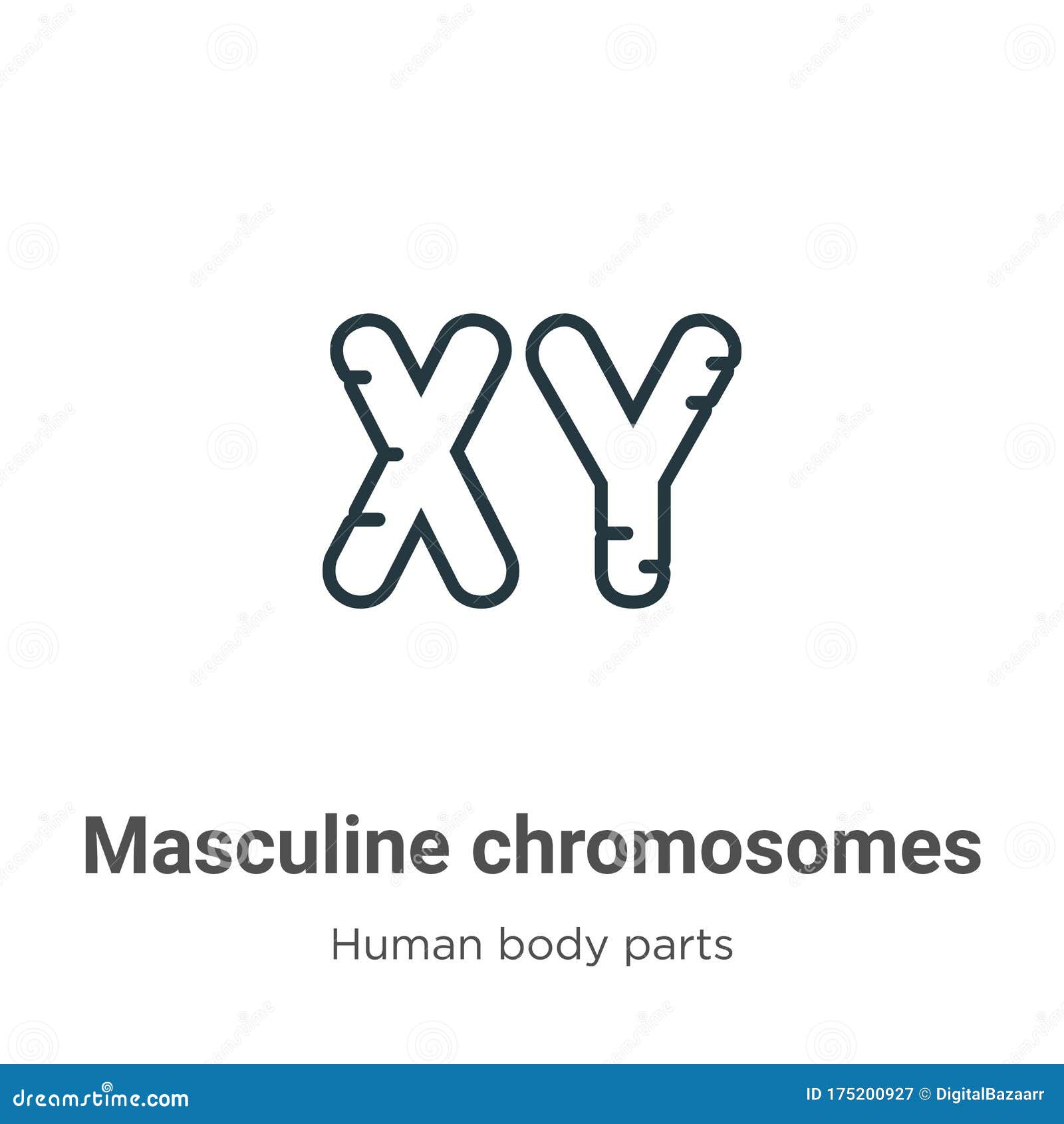 Masculine Chromosomes Outline Vector Icon. Thin Line Black Masculine ... Masculine Chromosomes Outline Vector Icon. Thin Line Black Masculine ...