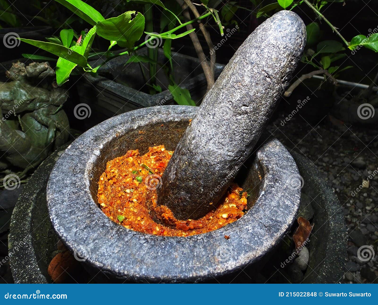 Chili mash process stock photo. Image of mash, serve - 215022848