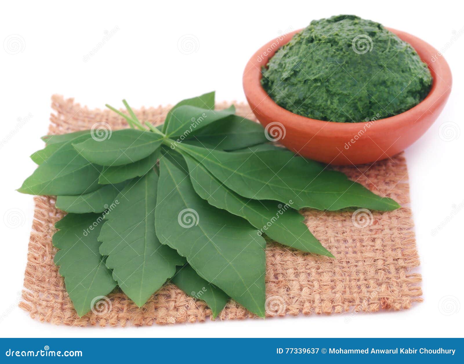 Vitex Negundo With Extract Juice Stock Photography | CartoonDealer.com ...