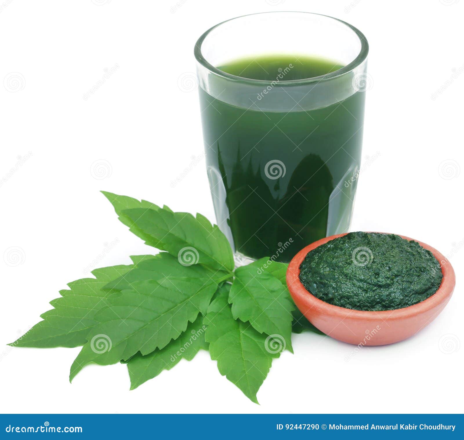 Mashed Vitex Negundo or Medicinal Nishinda Leaves Stock Photo - Image ...