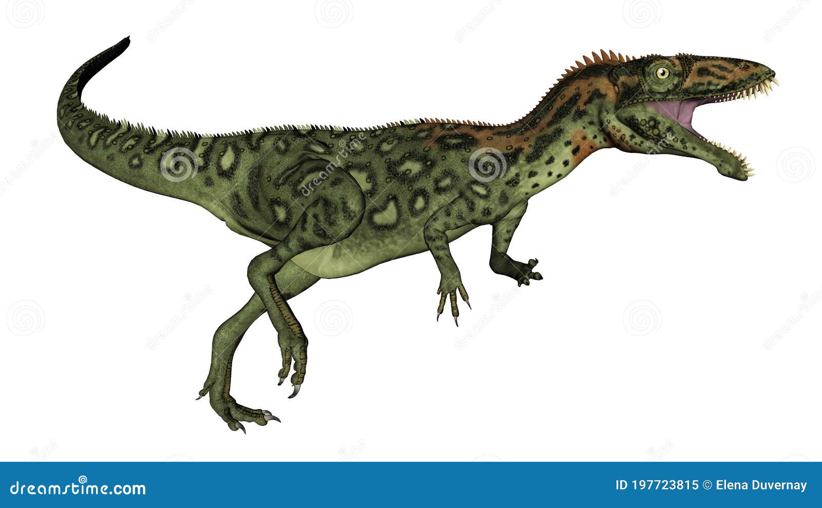 Masiakasaurus Dinosaur Roaring - 3D Render Stock Illustration ...