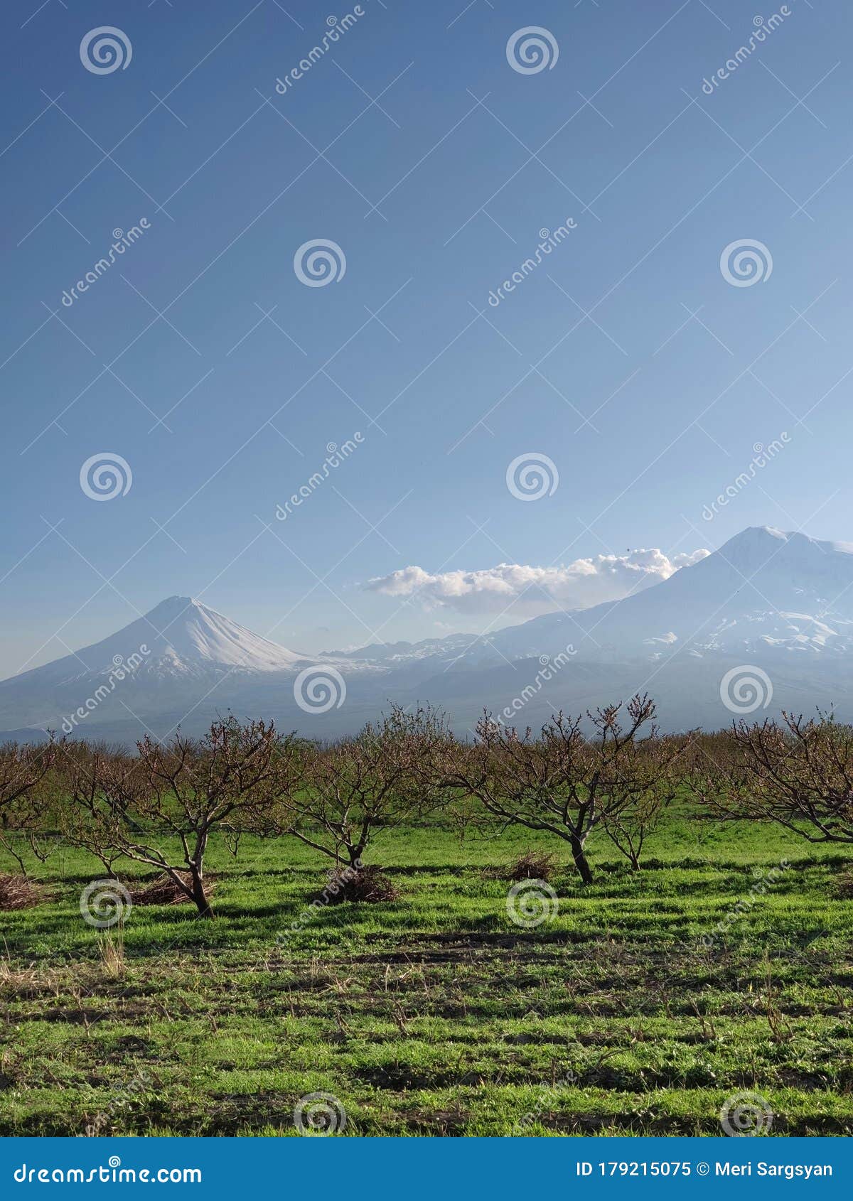 Masis mountain Ararat stock image. Image of masis, grassland - 179215075