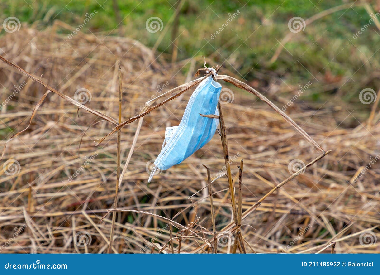 Mask in Field stock photo. Image of flying, blue, europe - 211485922