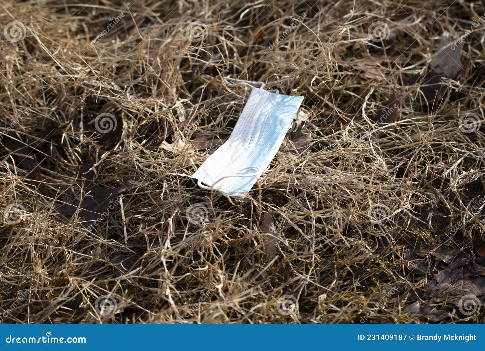 Mask Litter on the Ground stock image. Image of environment - 231409187