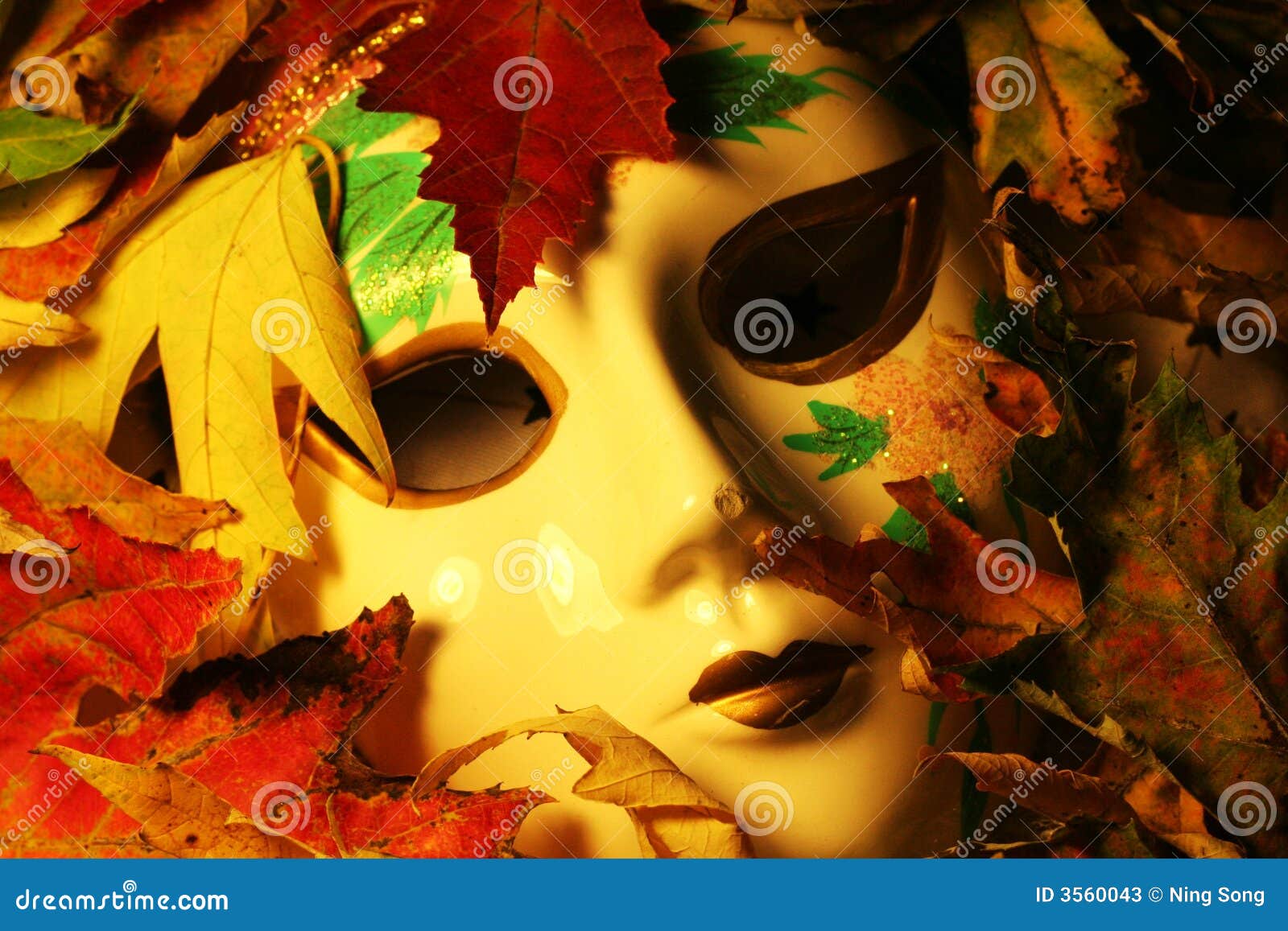 Mask in Maple leaves stock image. Image of clown, maple - 3560043