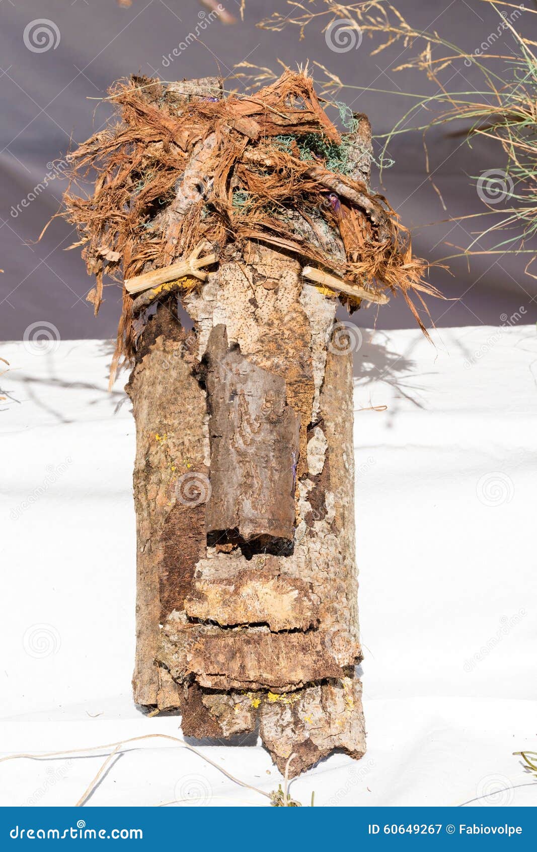 Mask of wood and bark stock image. Image of individual - 60649267