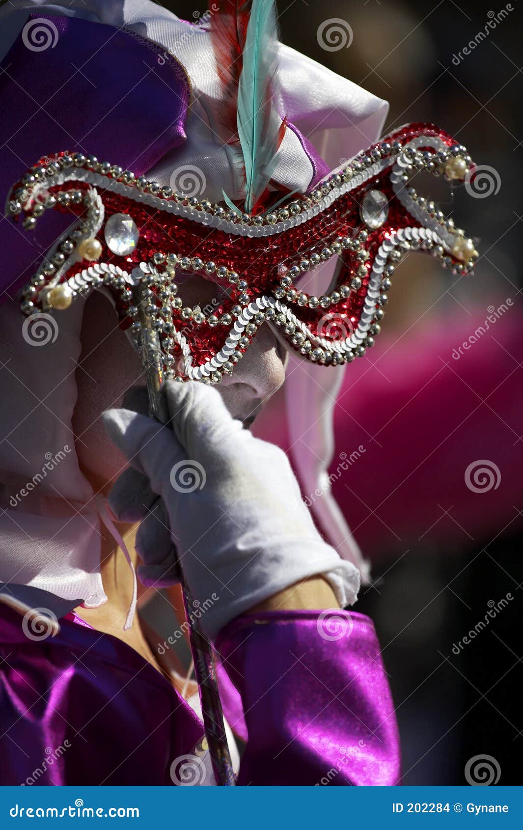 Masked person at carnival stock photo. Image of headgear - 202284