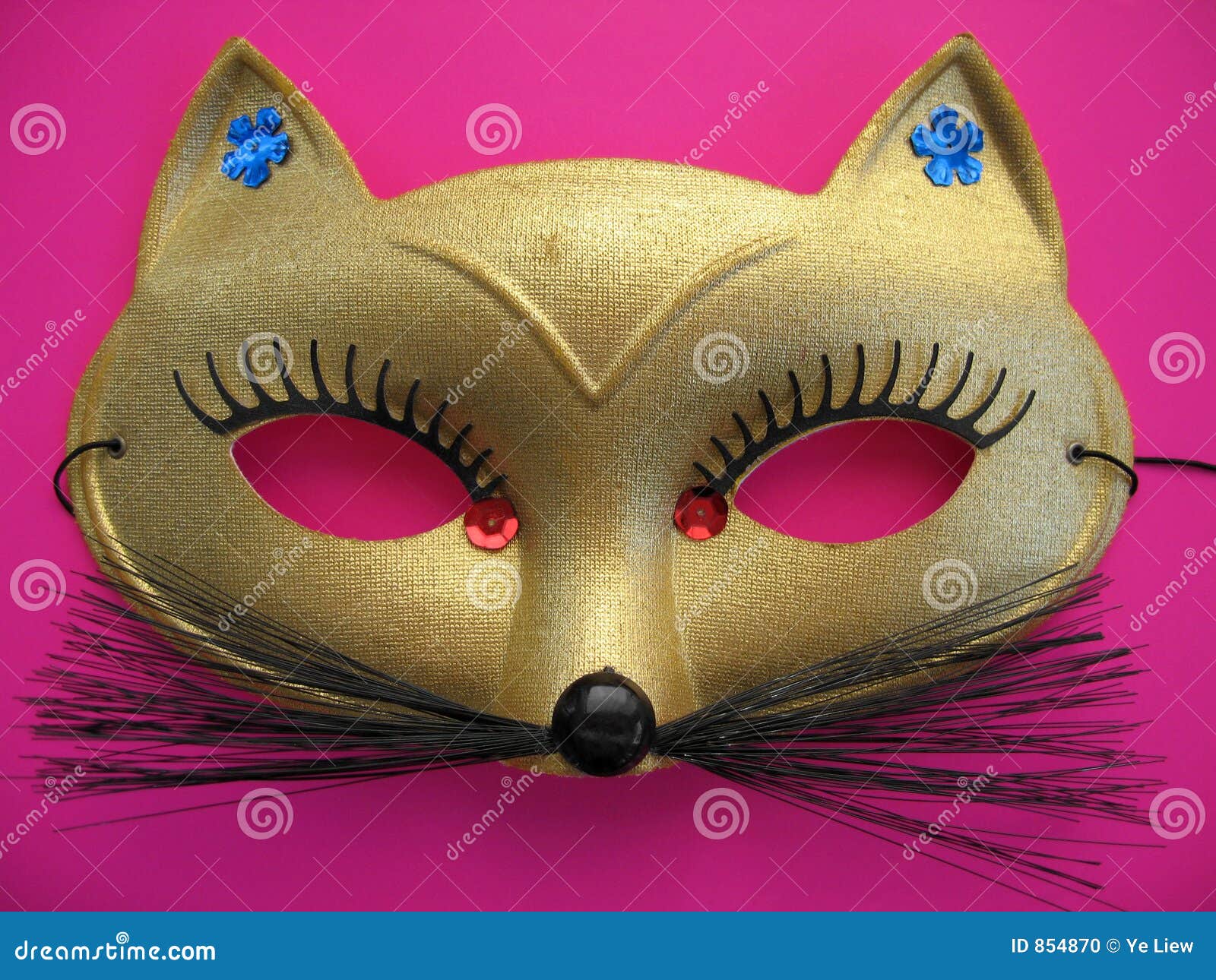 Cat Mask 1 Picture. Image: 854870