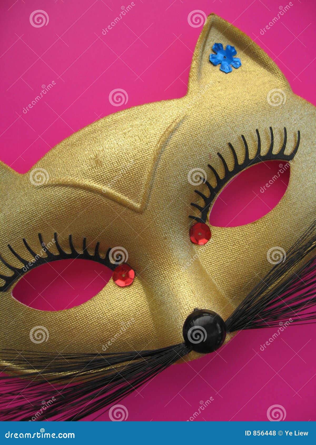 Cat Mask 2 Picture. Image: 856448