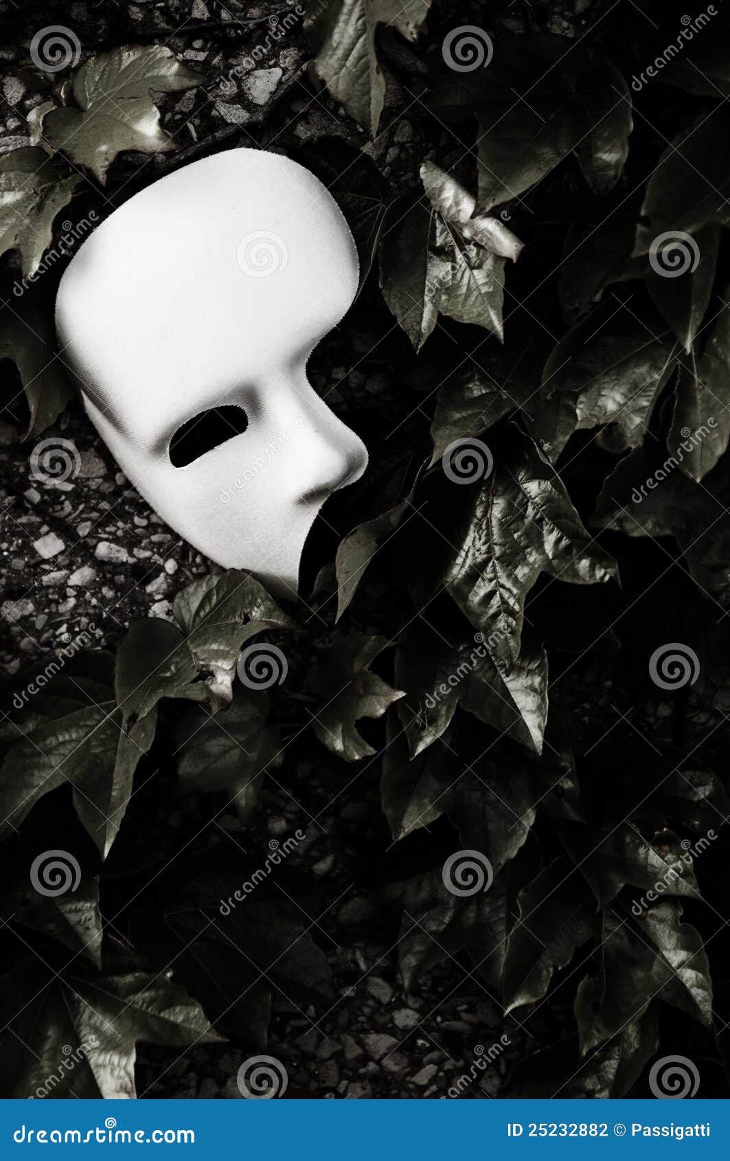 Maskerade - Spoor Van Het Masker Van De Opera Stock Foto - Image of ...