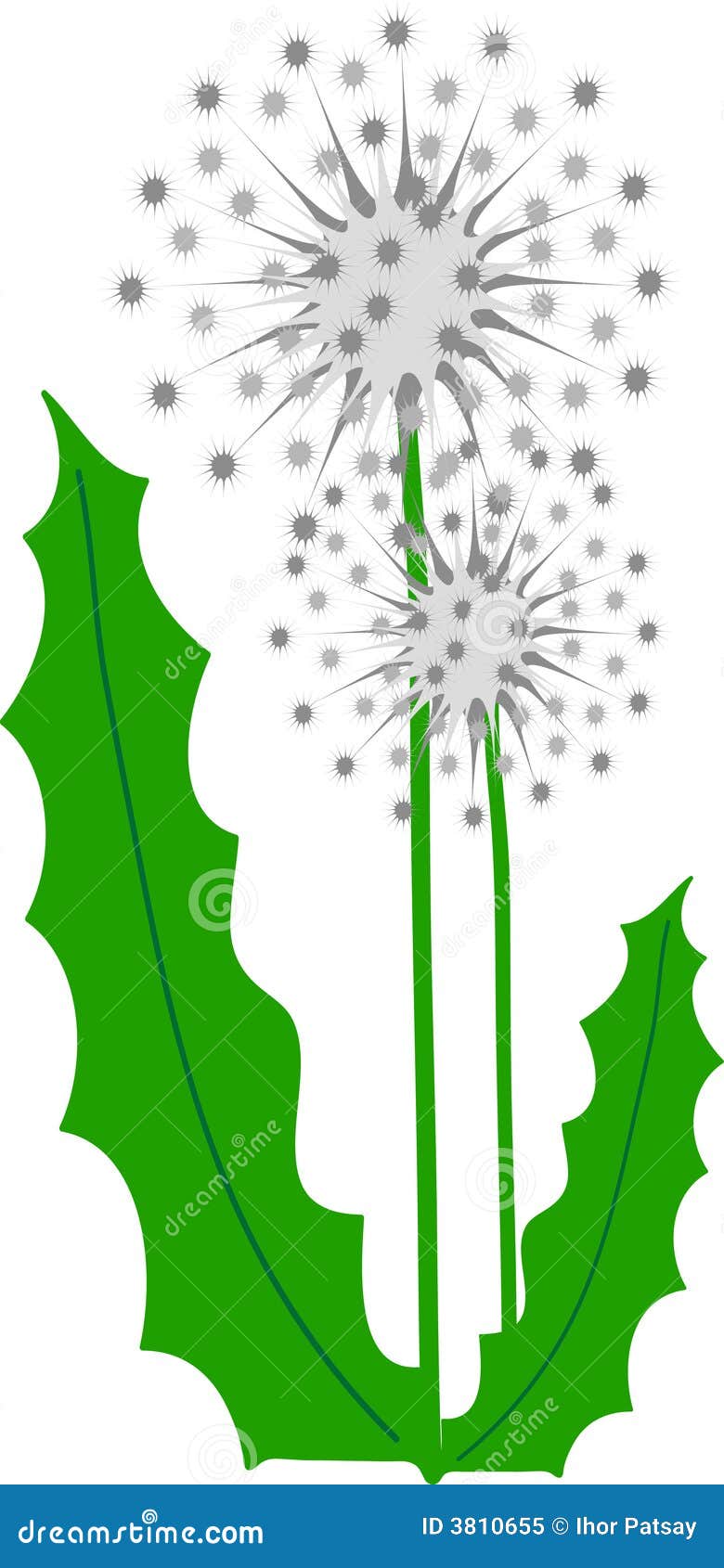 Maskros vektor illustrationer. Illustration av elegantt - 3810655