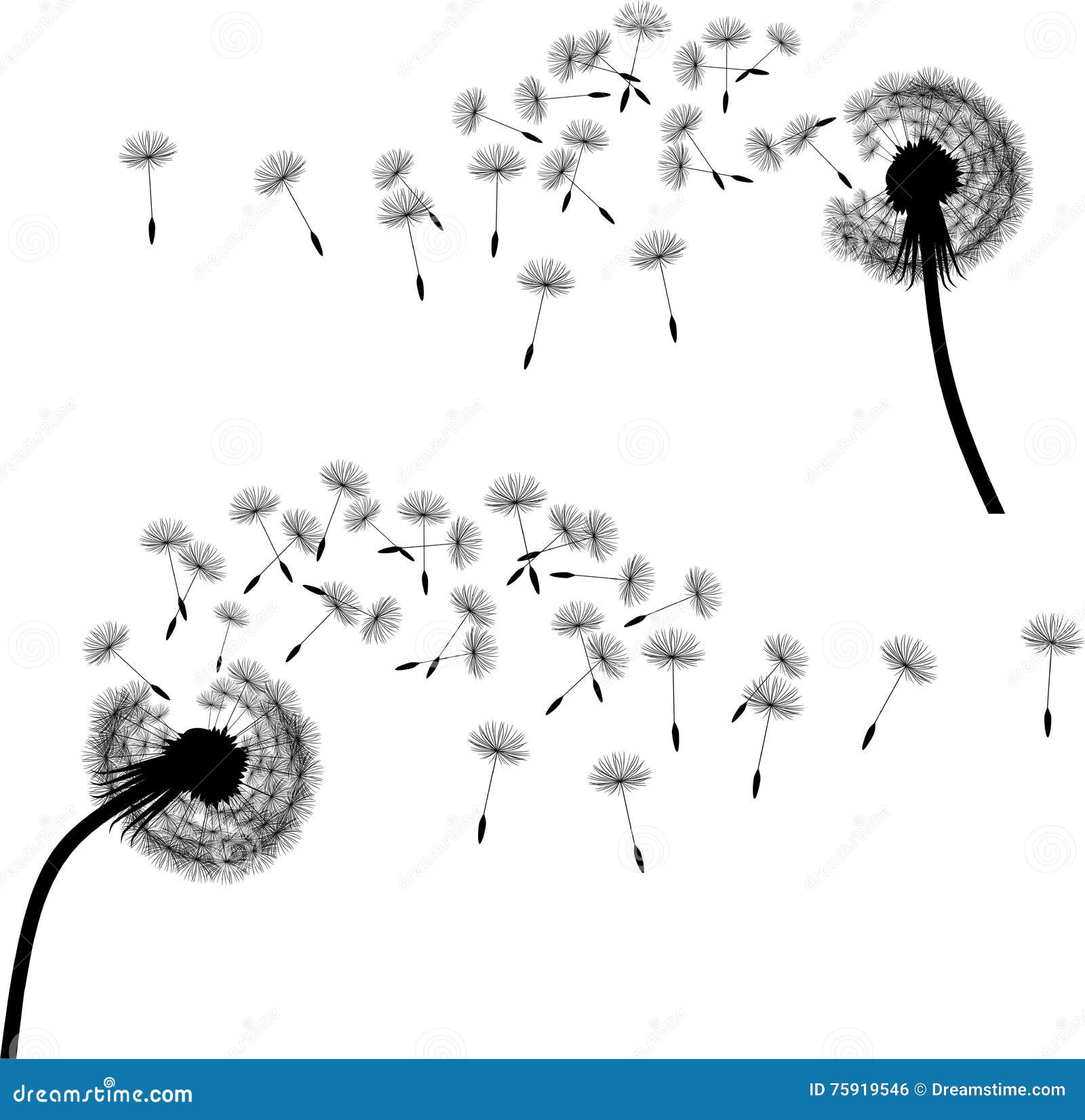 Maskros vektor illustrationer. Illustration av illustration - 75919546