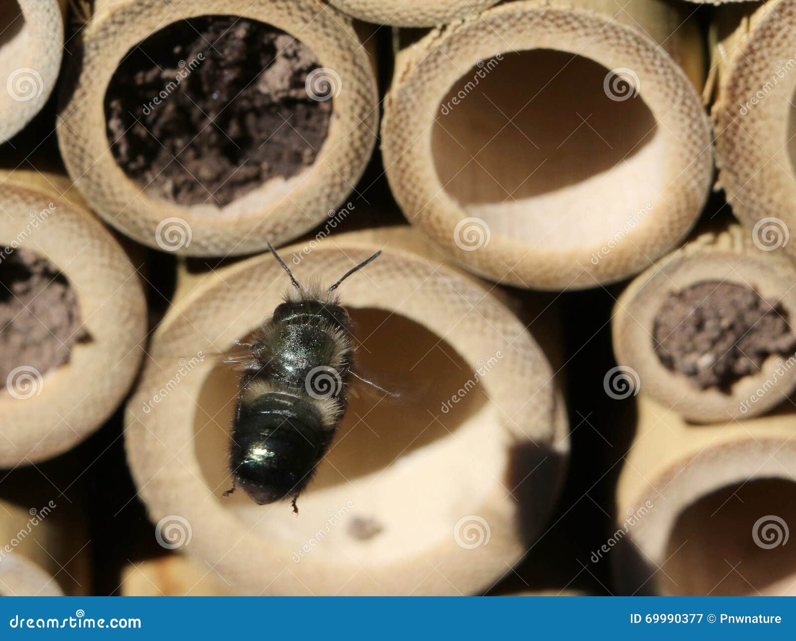 Royalty Free Images, Cartoons, Illustrations And Photos Designed By ...