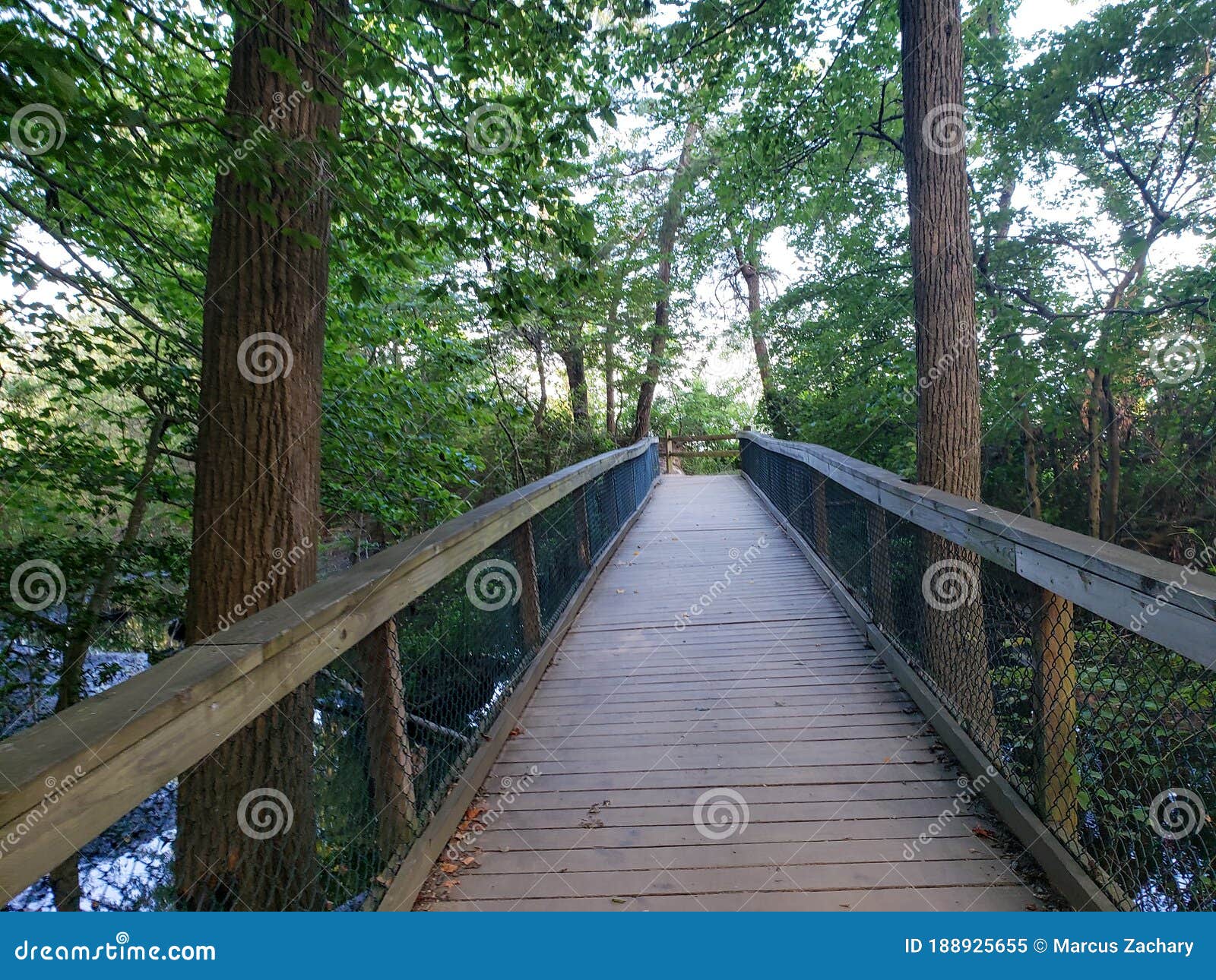 Mason Neck State Park Bridge View Stock Image - Image of view, state ...