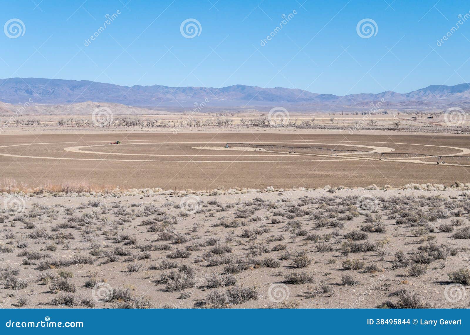 Mason Valley, Nevada Ranchland Stock Photo - Image of peace, mountains ...