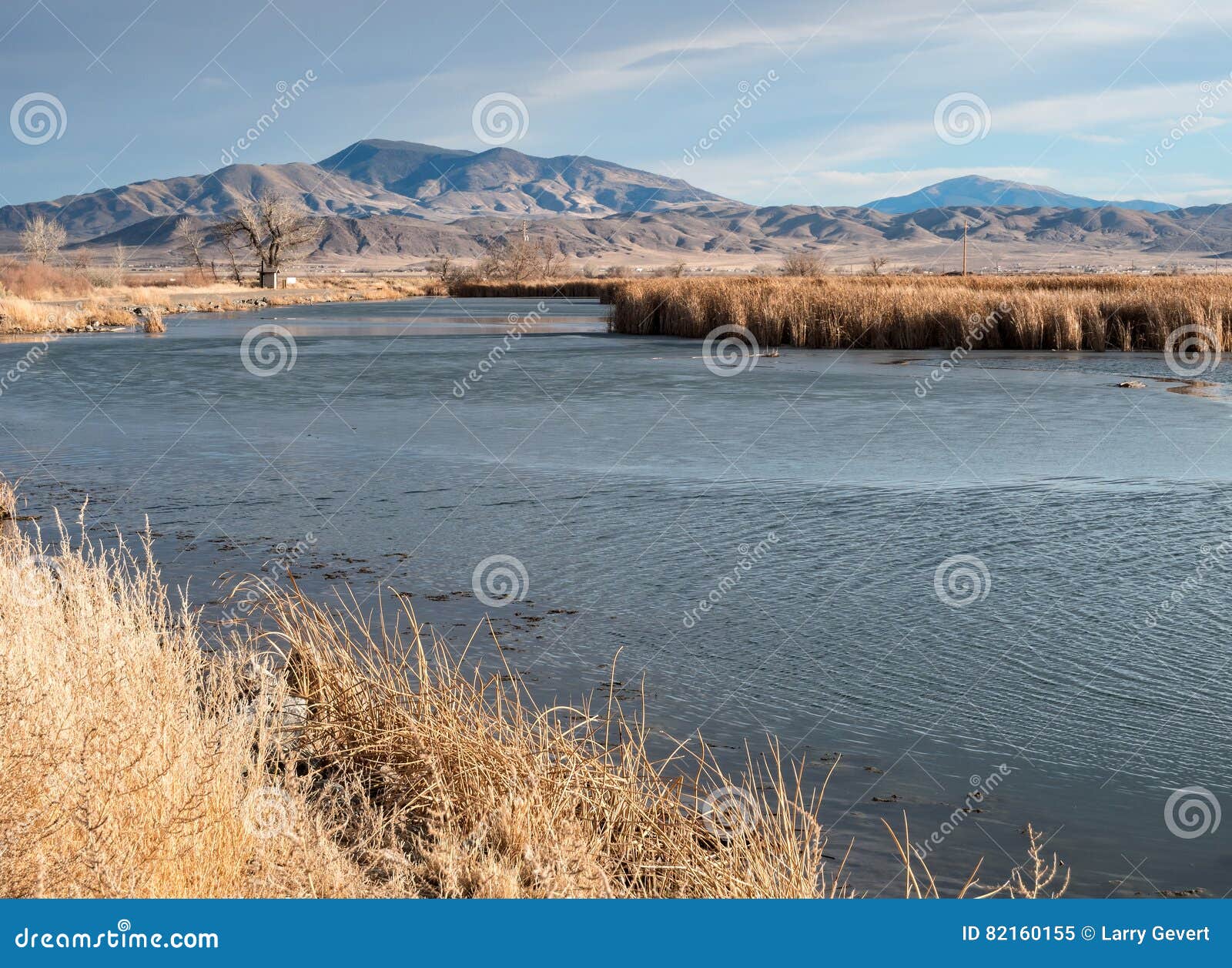 Mason Valley Wildlife Management Area Imagen de archivo - Imagen de ...