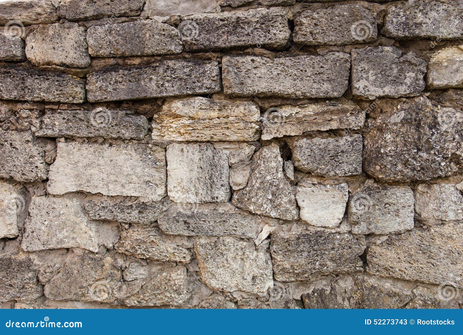 Rustic Coquina Stone Wall Texture Or Background Stock Photography ...