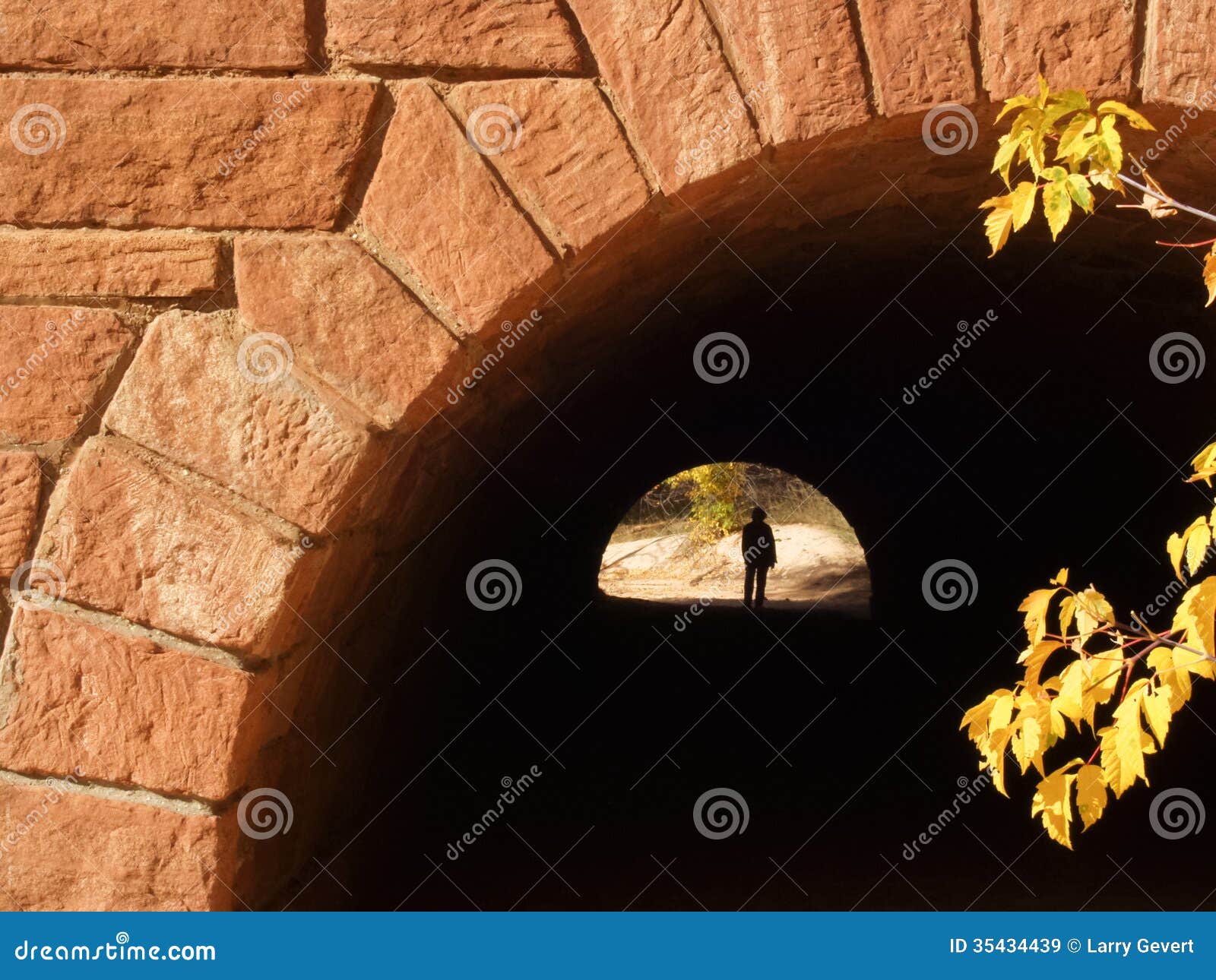 Masonry Culvert, Zion National Park Stock Image - Image of foliage ...