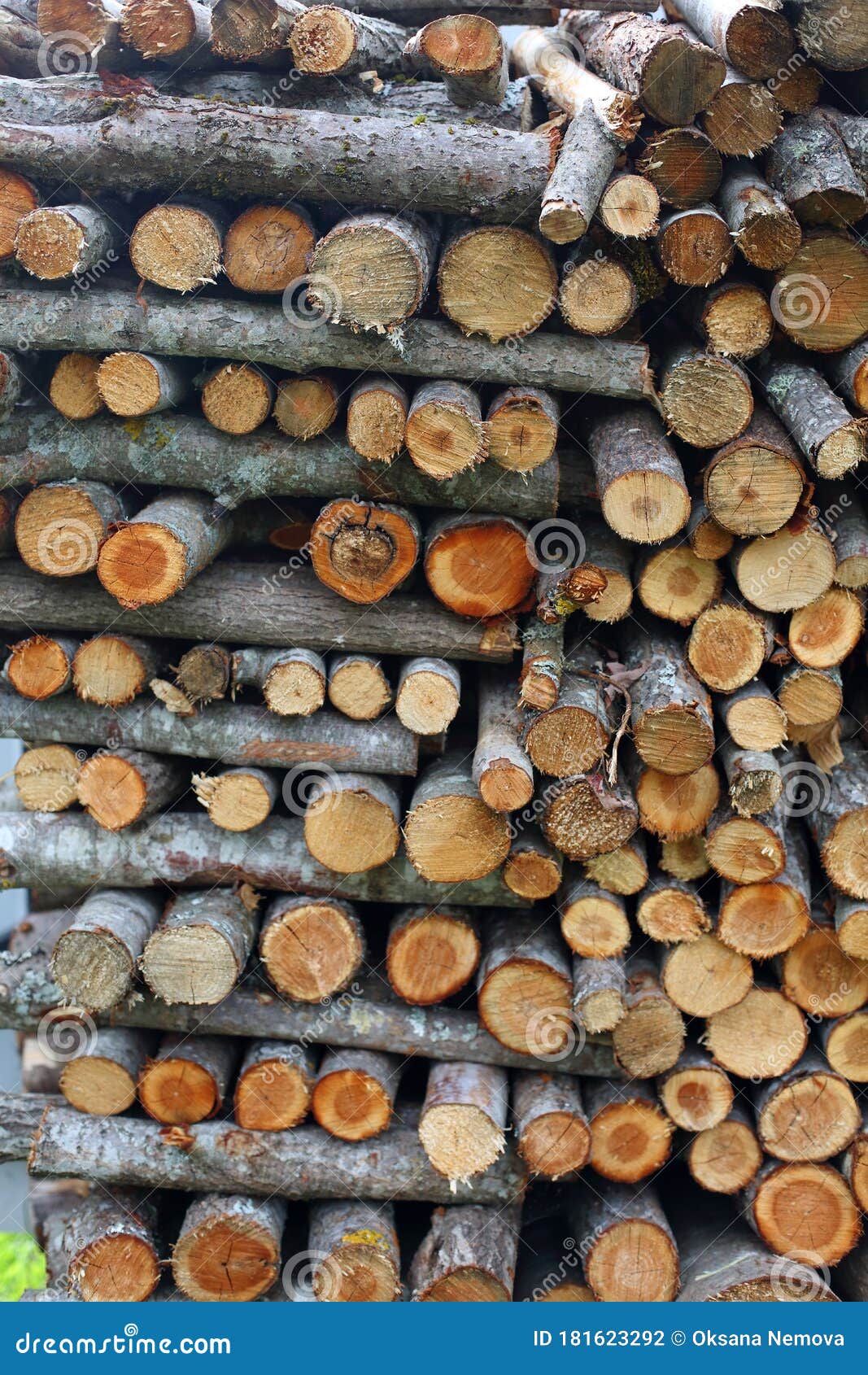 Masonry Sawn Logs Texture Stock Photography | CartoonDealer.com #181623344