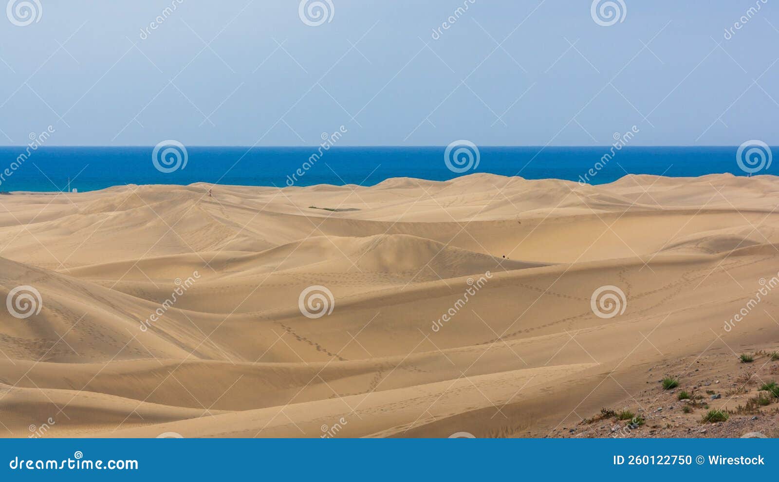 Maspalomas Dunes with the Atlantic Ocean Behind Stock Photo - Image of ...