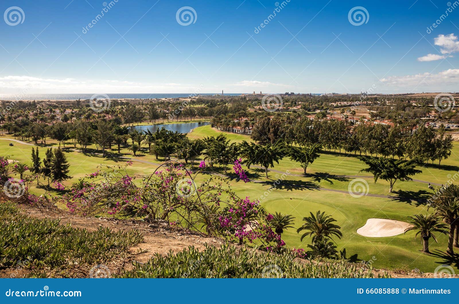 Maspalomas and golf park stock photo. Image of place - 66085888