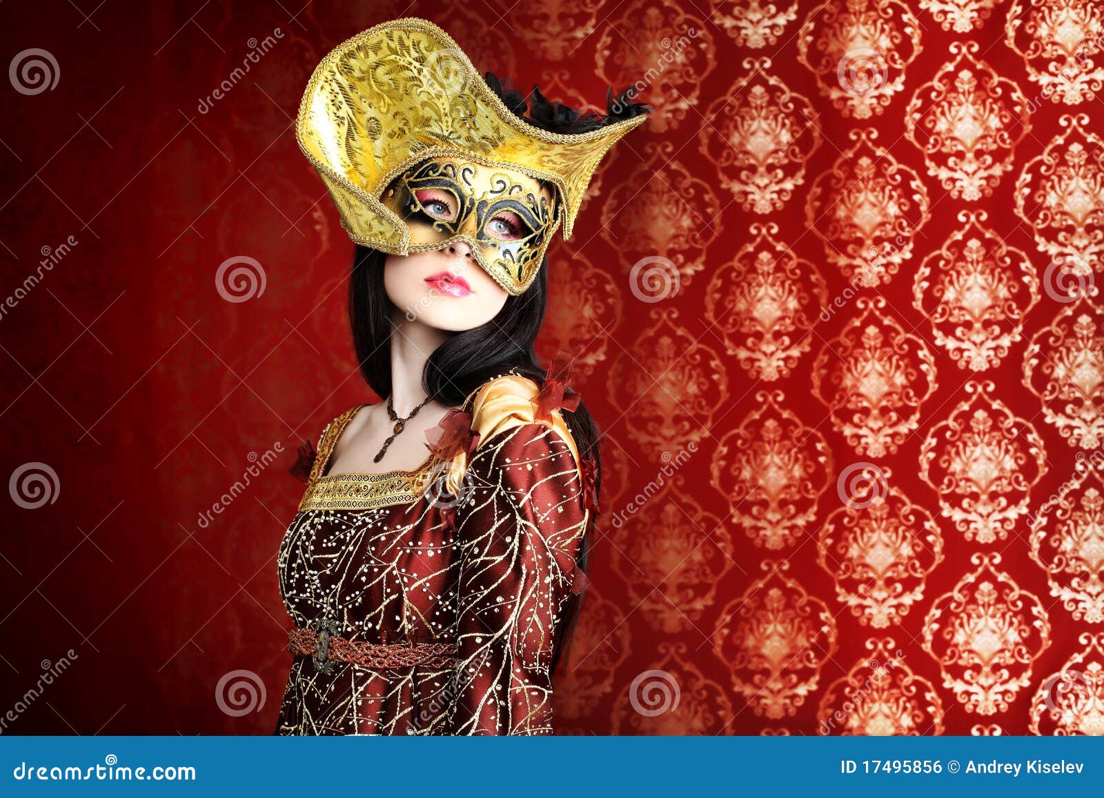 Masquerade stock photo. Image of adult, baroque, cosplay - 17495856