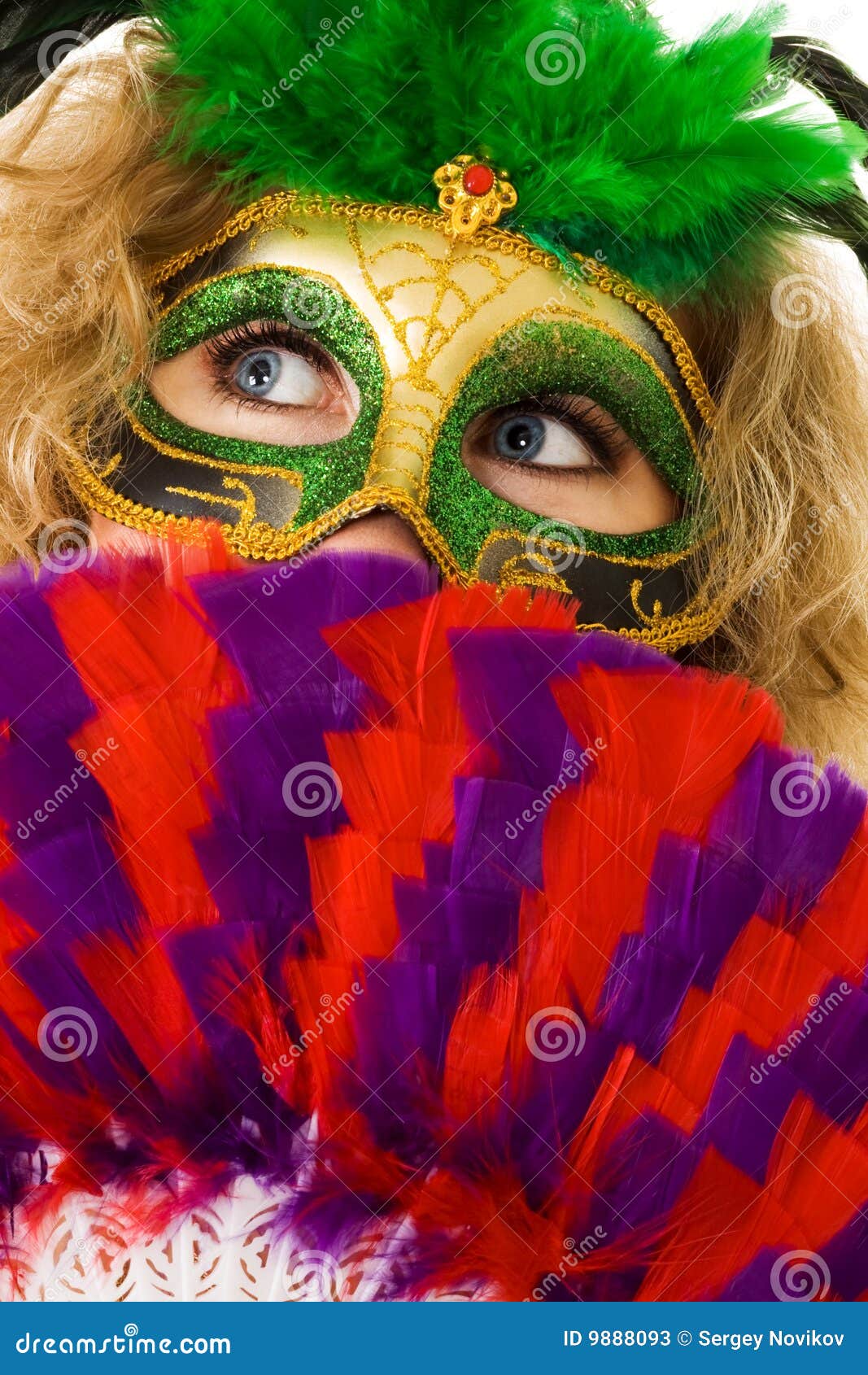 Masquerade stock image. Image of cover, attractive, hide - 9888093