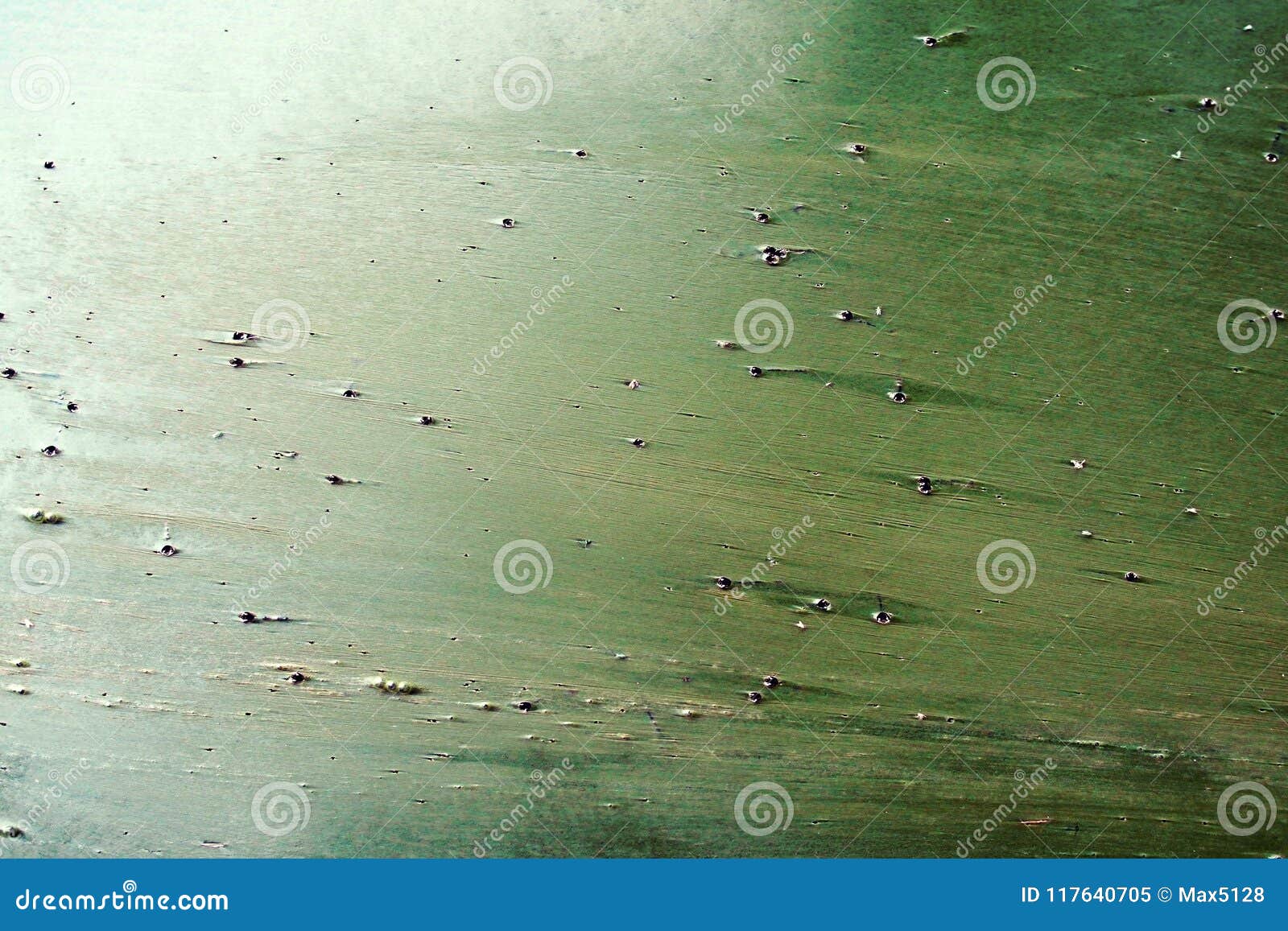 Mass of Dead Algae Formed on Surface of Water Due To Algae Bloom Stock ...