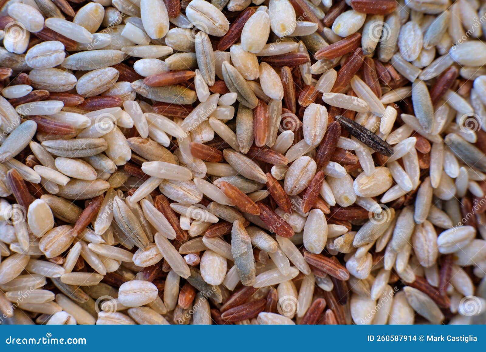 Mass of Dry and Multi Colored Rice Ready To Be Cooked Stock Photo ...