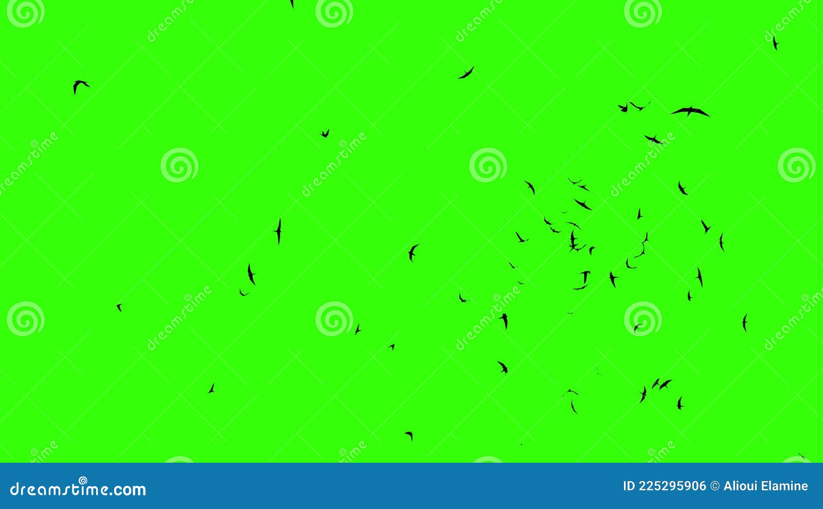 Mass Migration Movement. Crowd of Birds Behaviour. Flocking Boids ...