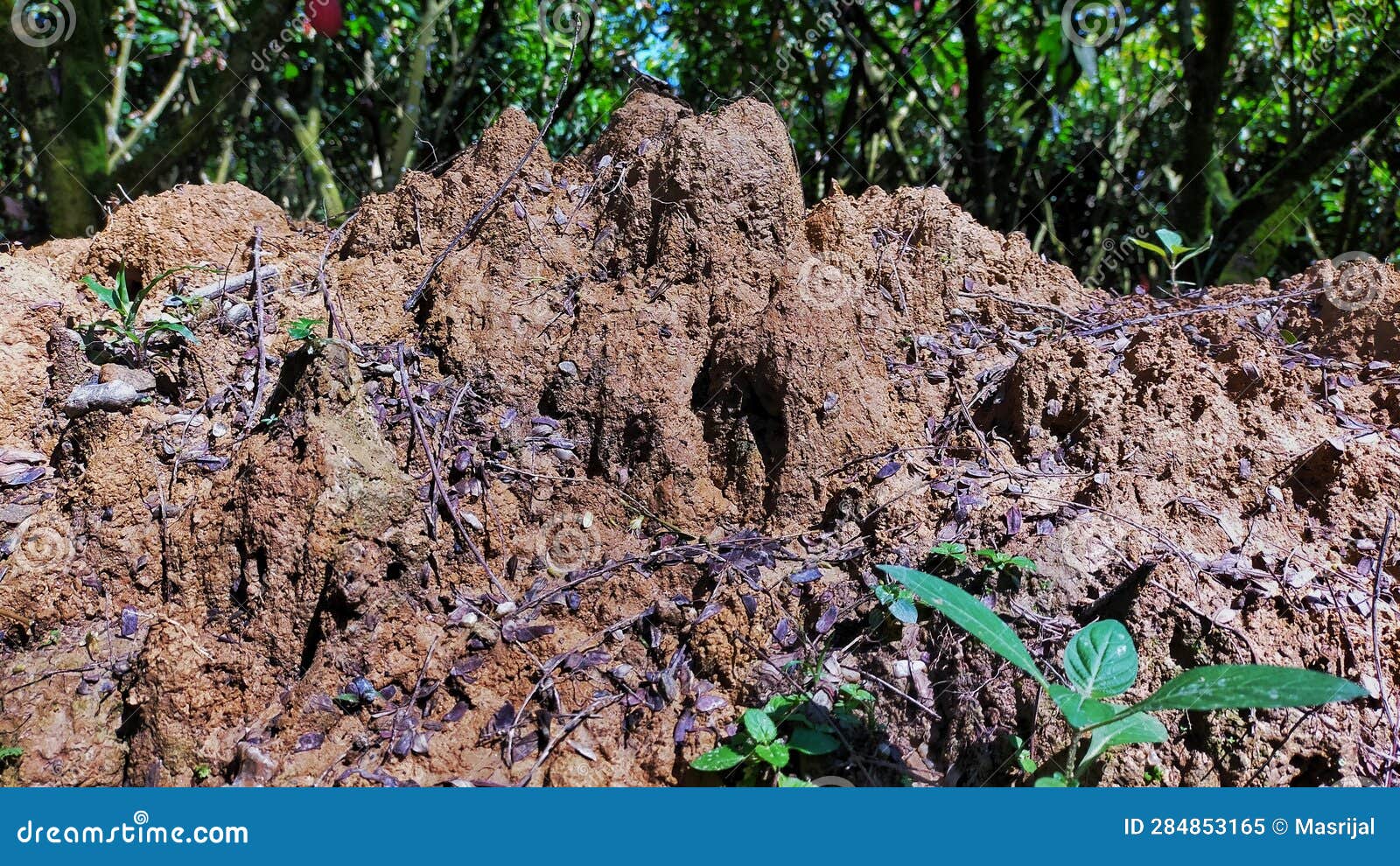 A Mass of Scattered Soil in the Shape of a Mountain Stock Image - Image ...