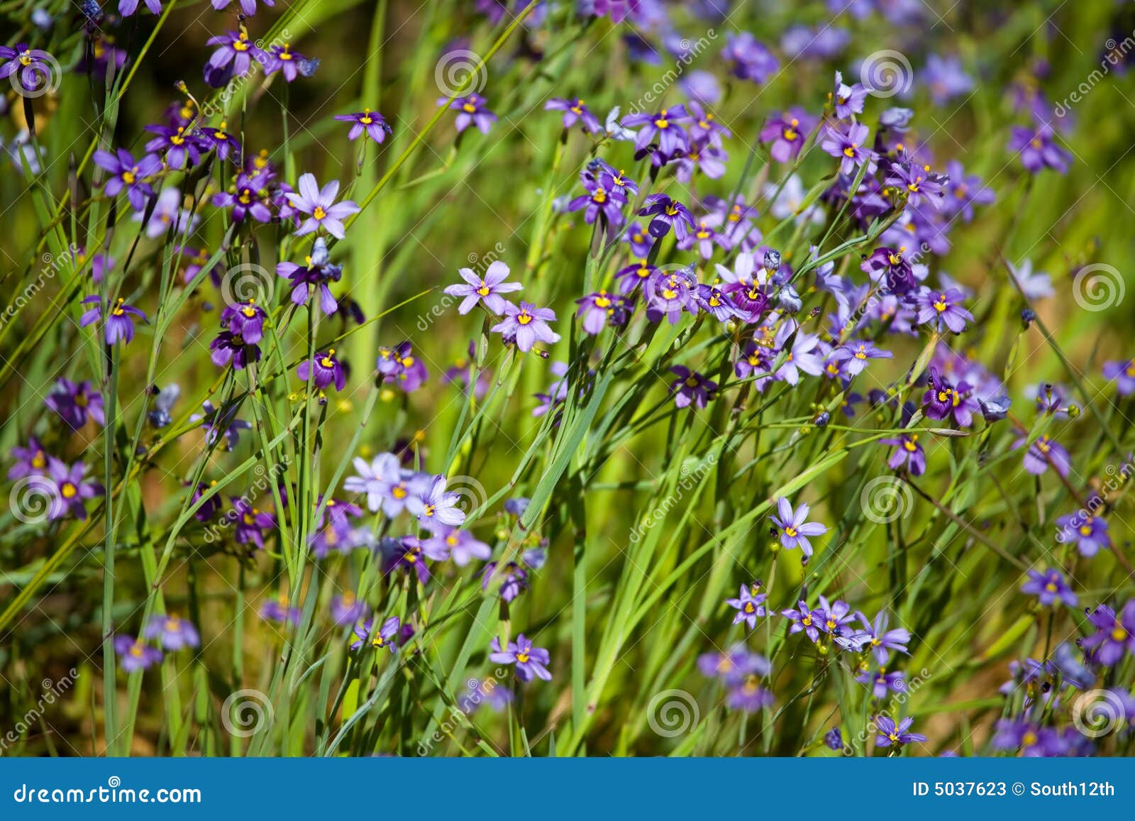 22,618 Mass Blue Stock Photos - Free & Royalty-Free Stock Photos from ...