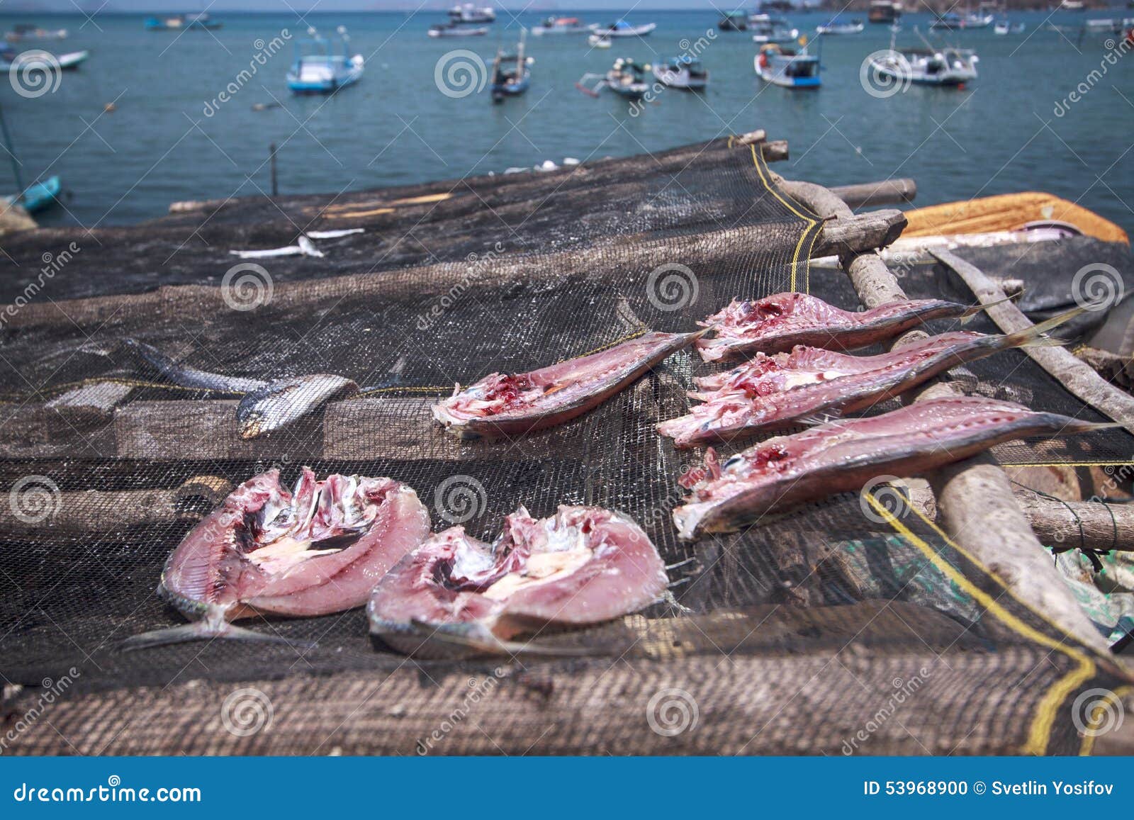 Massacre stock photo. Image of food, fisher, fishing - 53968900