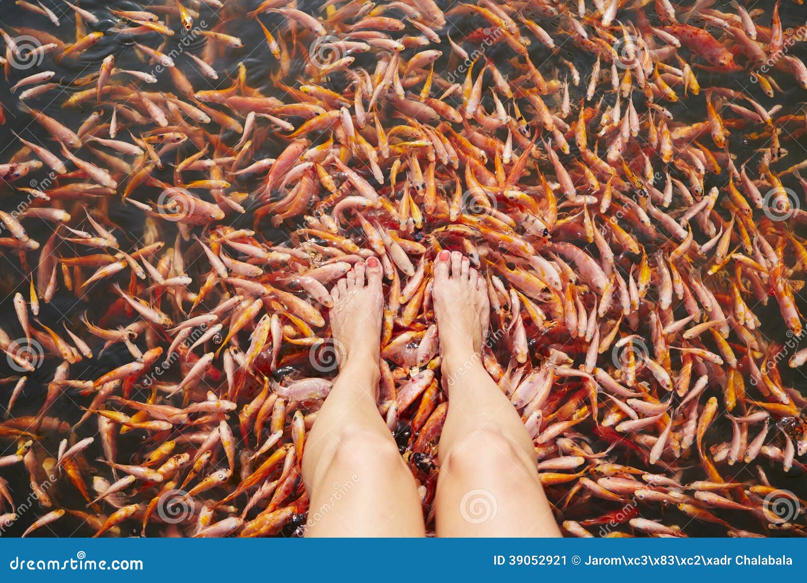 Massage by fishes stock image. Image of fish, bite, people - 39052921