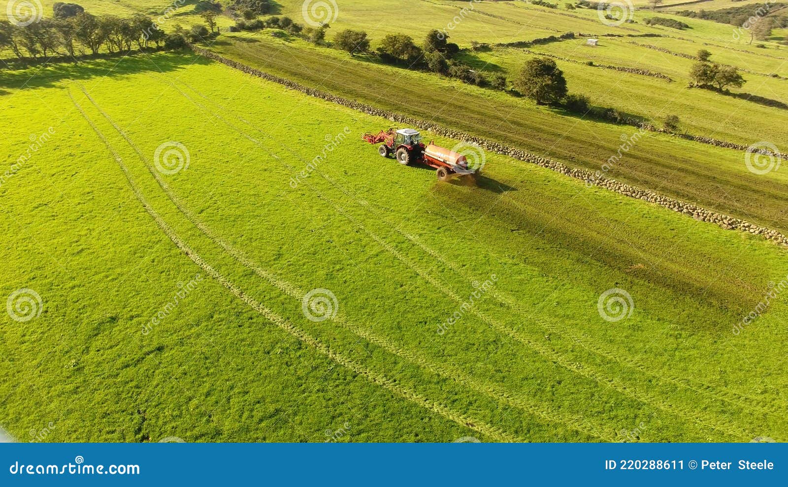 Massey Ferguson 4255 Tractor Spreading Slurry In Field Editorial Photo ...