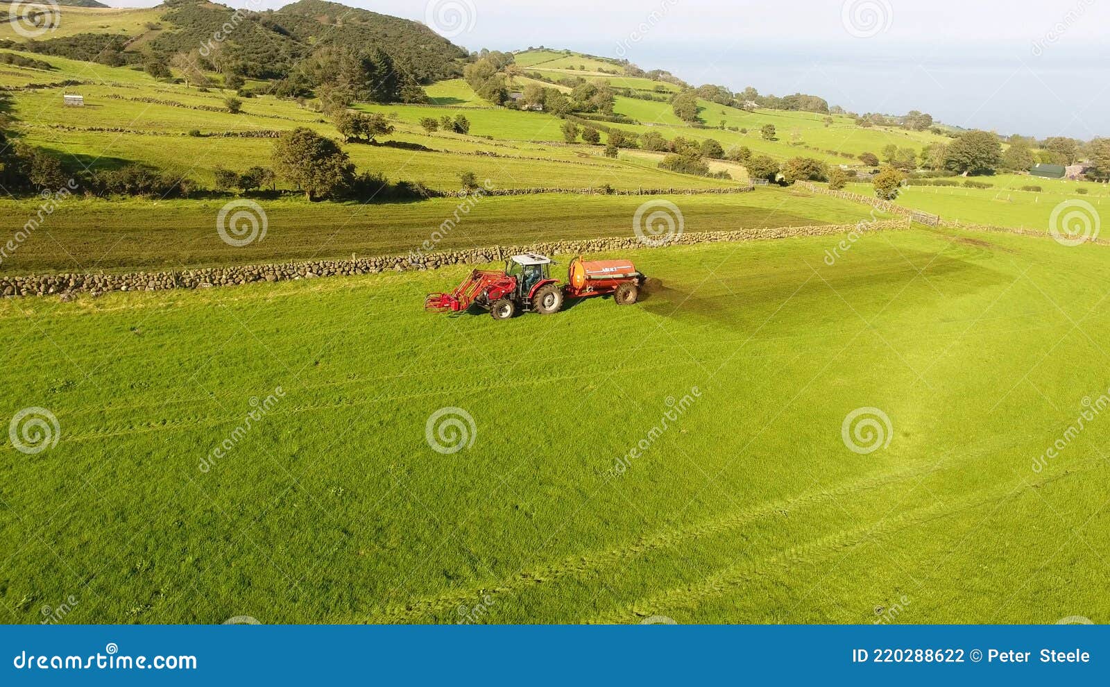 Massey Ferguson 4255 Tractor Spreading Slurry in Field Editorial ...