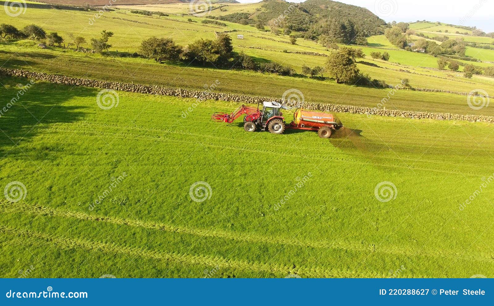 Massey Ferguson 4255 Tractor Spreading Slurry in Field Editorial ...