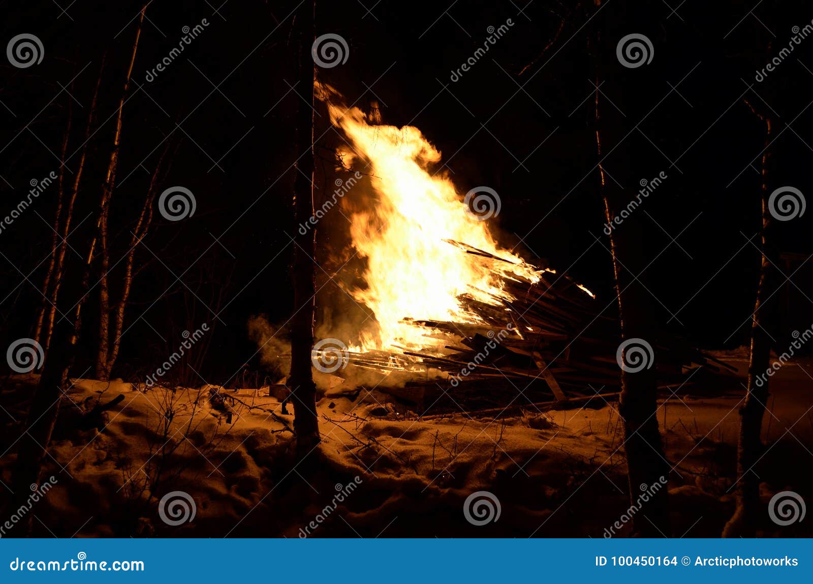 Massive Bonfire in Winter Night Birch Tree Forest Stock Photo - Image ...