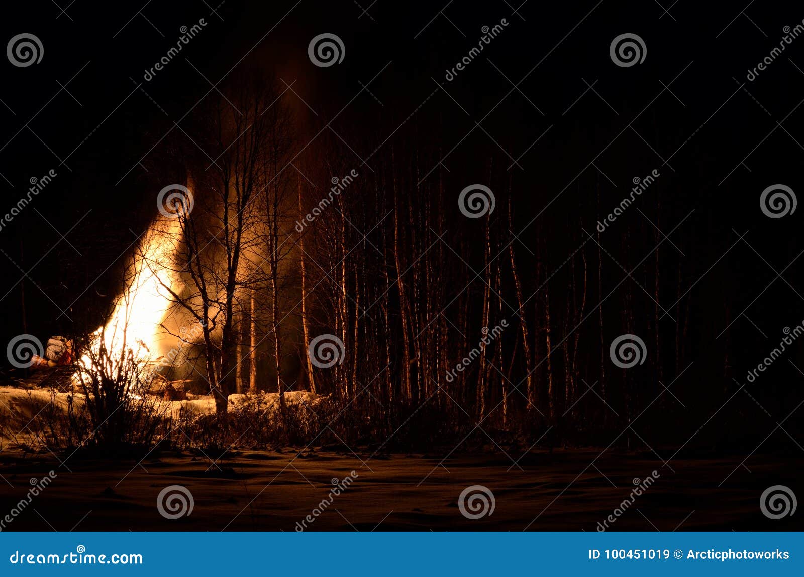 Massive Bonfire in Winter Night Birch Tree Forest Stock Image - Image ...