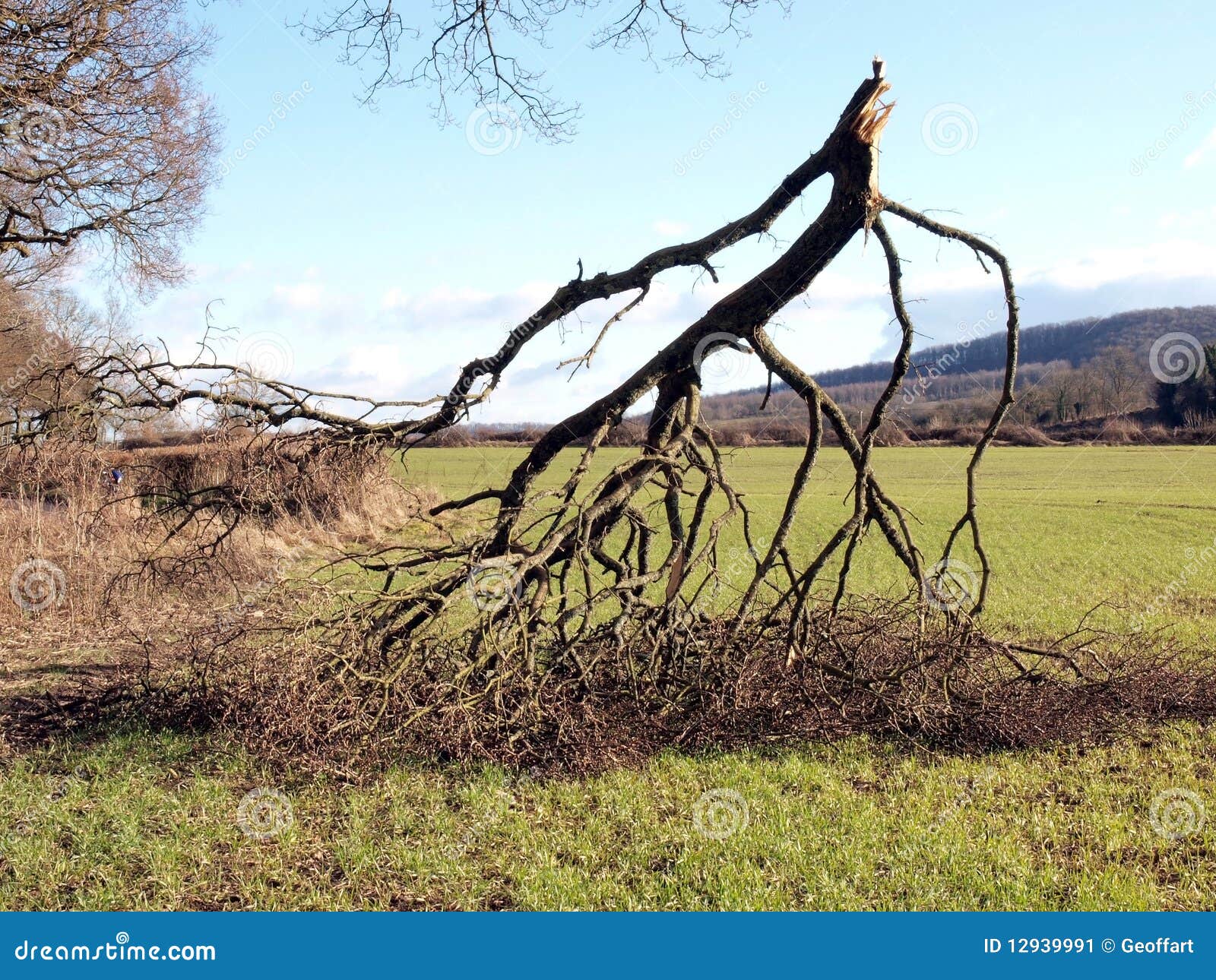 Massive Detached Giant Branch Inverted Stock Image - Image of wind ...