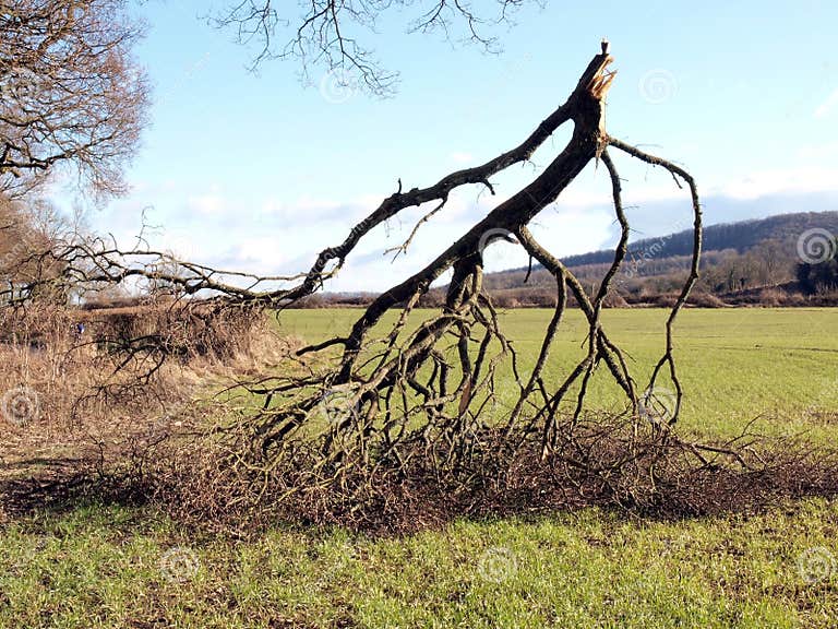 Massive Detached Giant Branch Inverted Stock Image - Image of wind ...