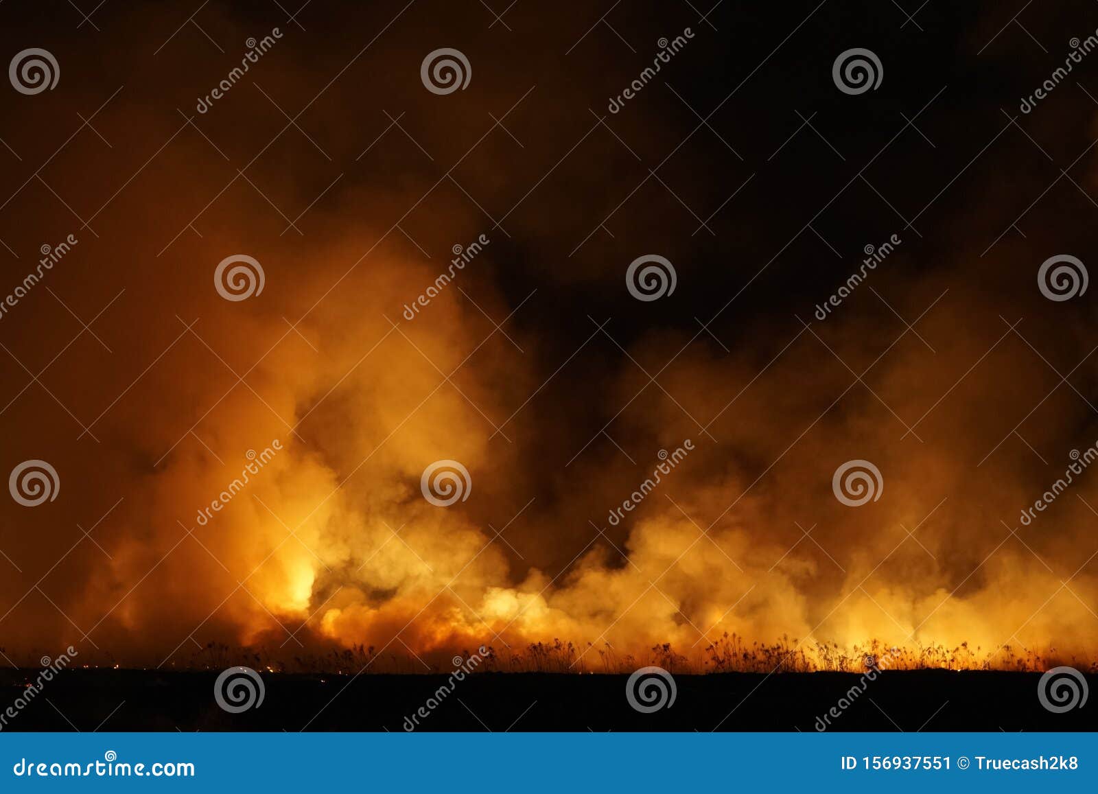 Massive Forest Fire at Night, Terrific View and Background Stock Image ...
