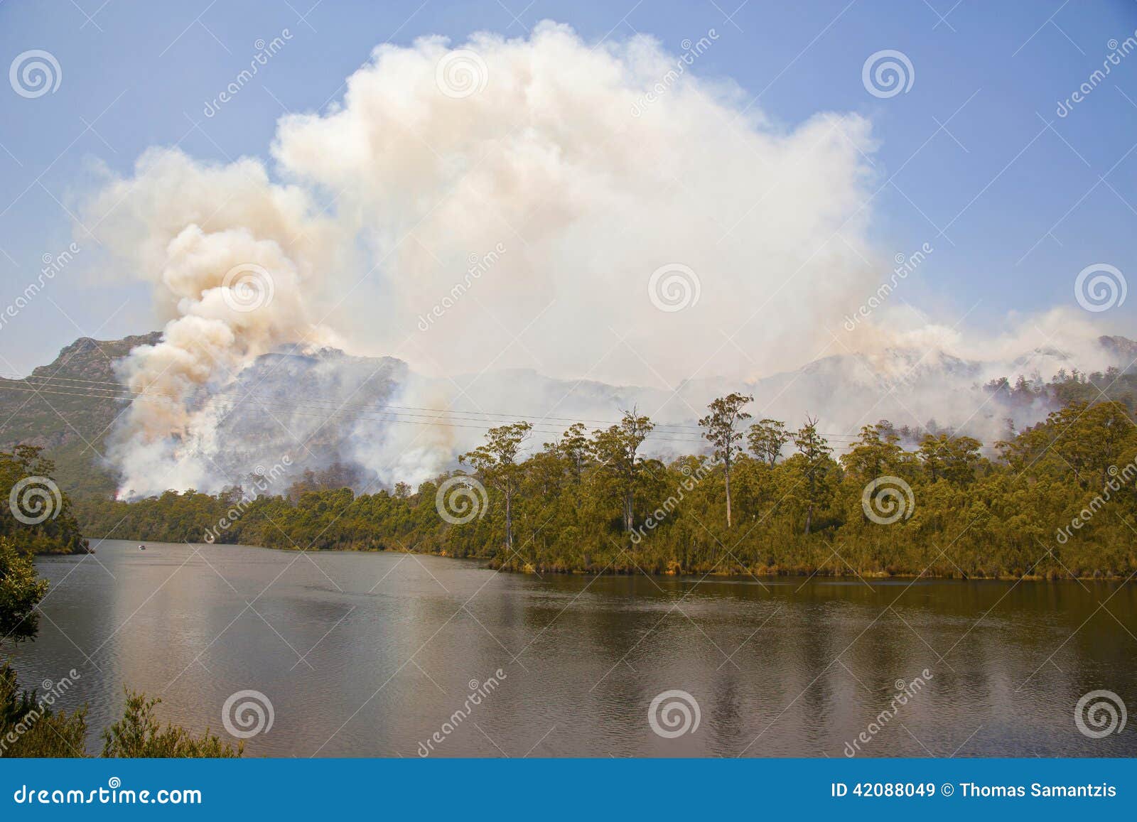 Massive forest fire stock image. Image of smoke, bushfire - 42088049