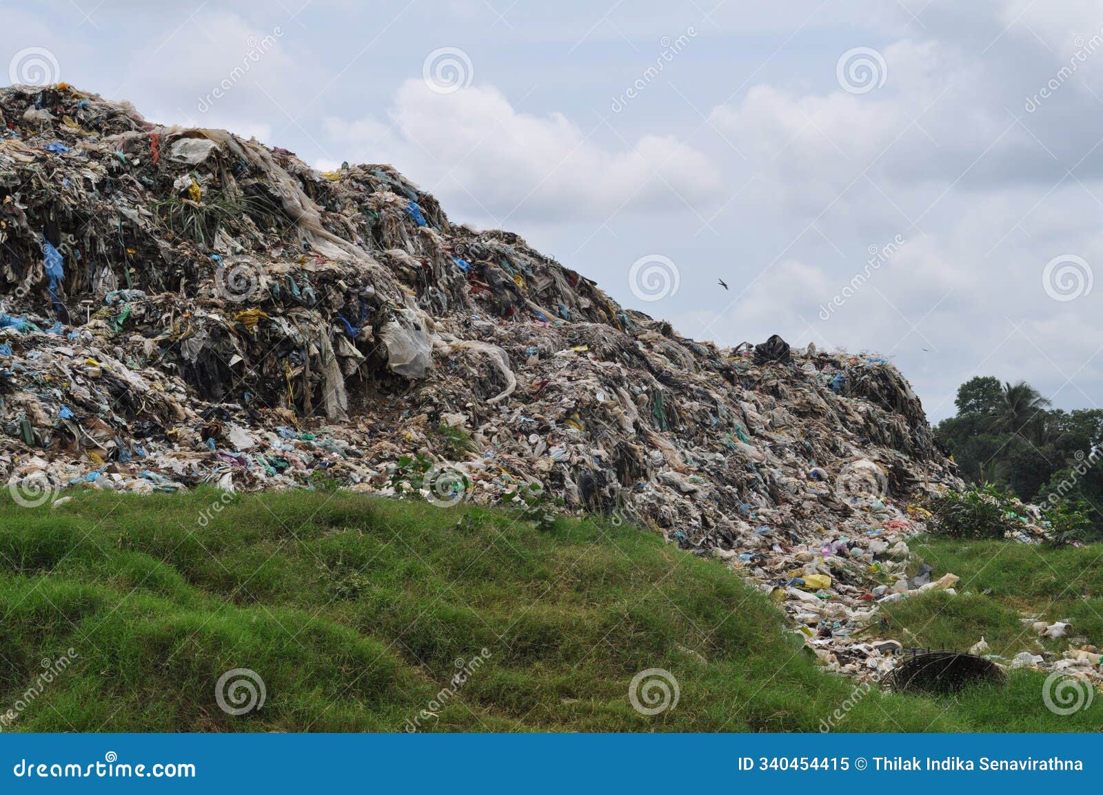Massive Garbage Dump with Machinery and Cows Amidst the Waste Stock ...