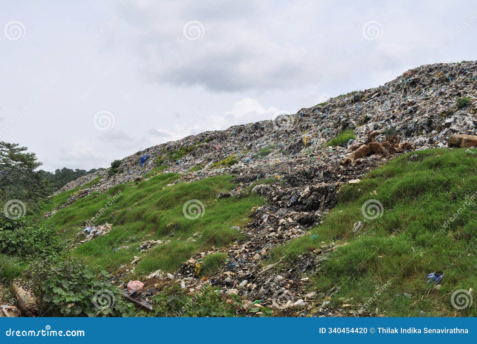Massive Garbage Dump with Machinery and Cows Amidst the Waste Stock ...