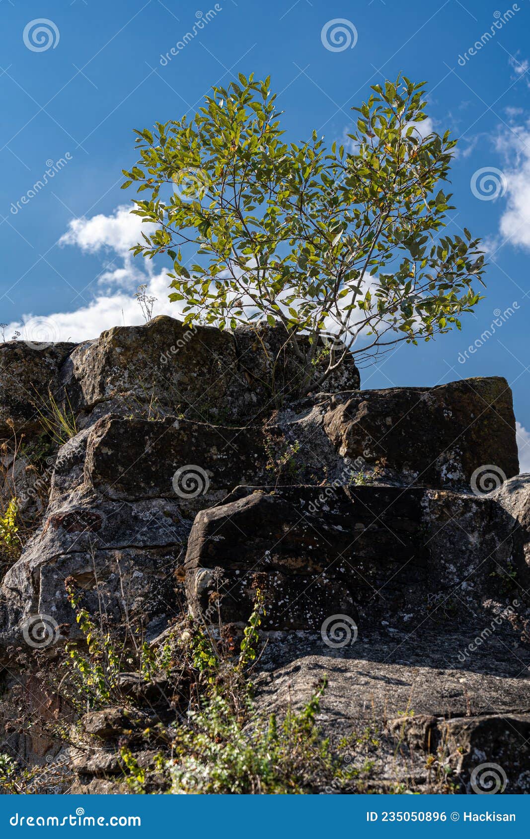 Massive High Walls Of An Old Medieval Castle Royalty-Free Stock Photo ...