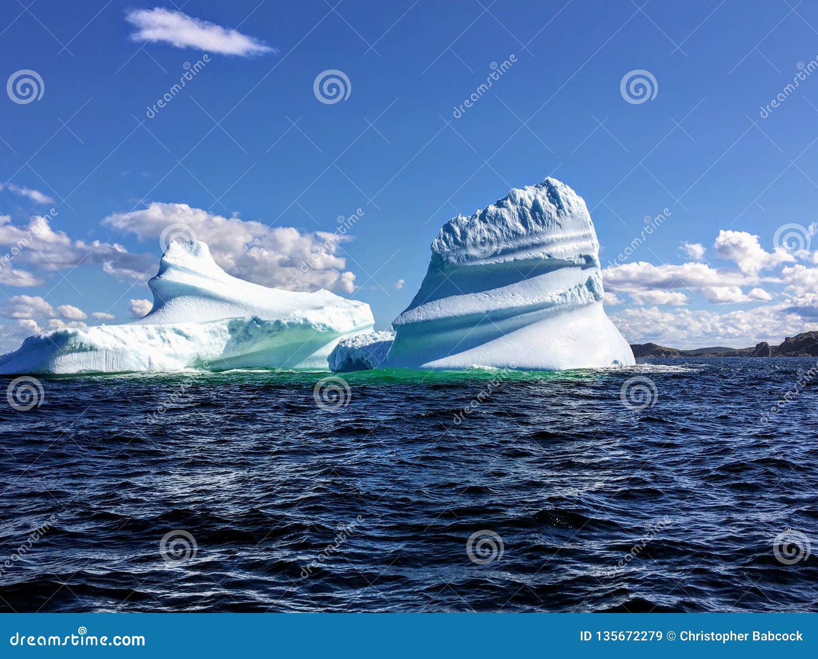 Are Labradors From Canada